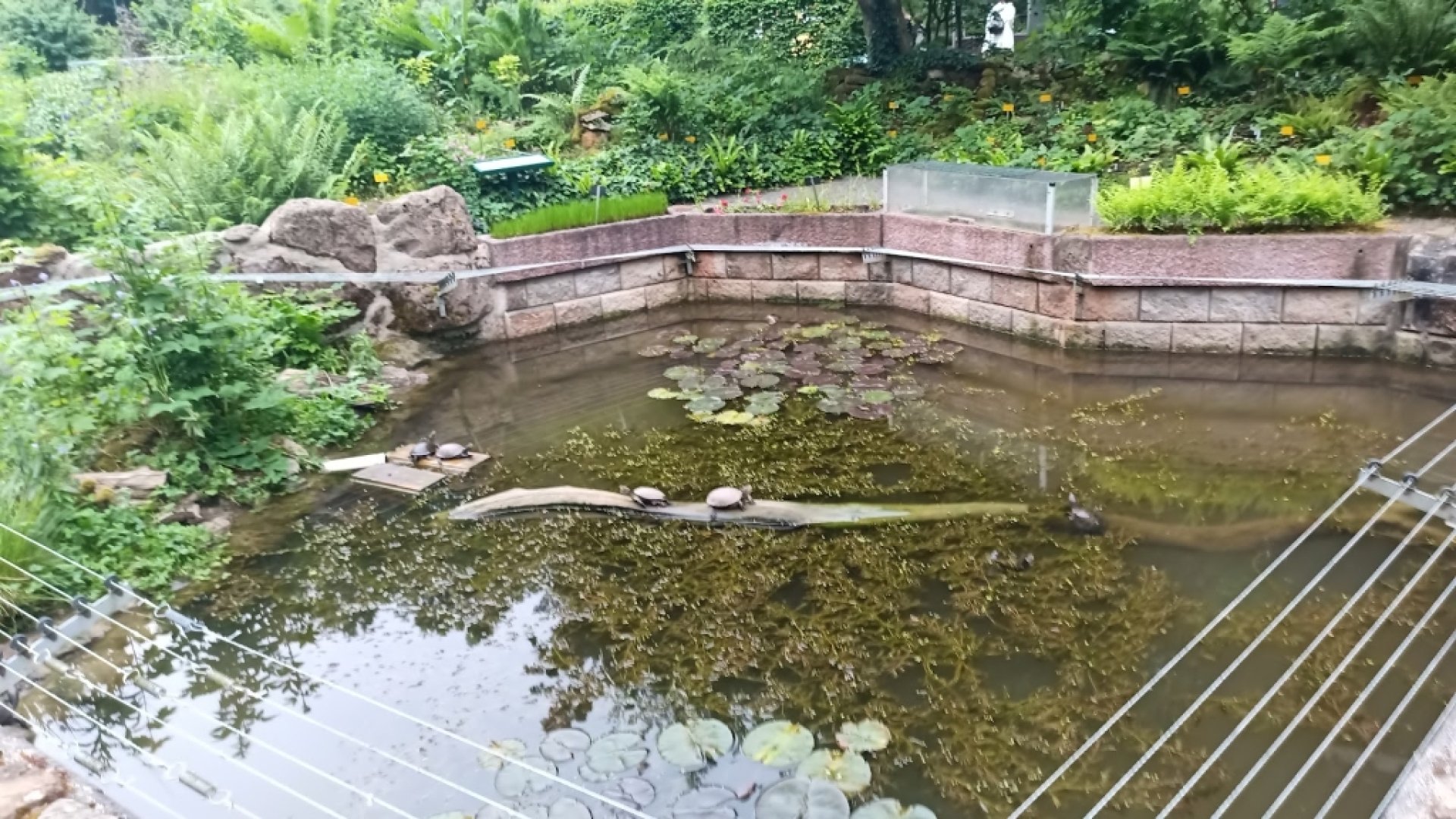 Outdoor Aquarium and Terrarium, Stein: Information, Tickets and Reviews