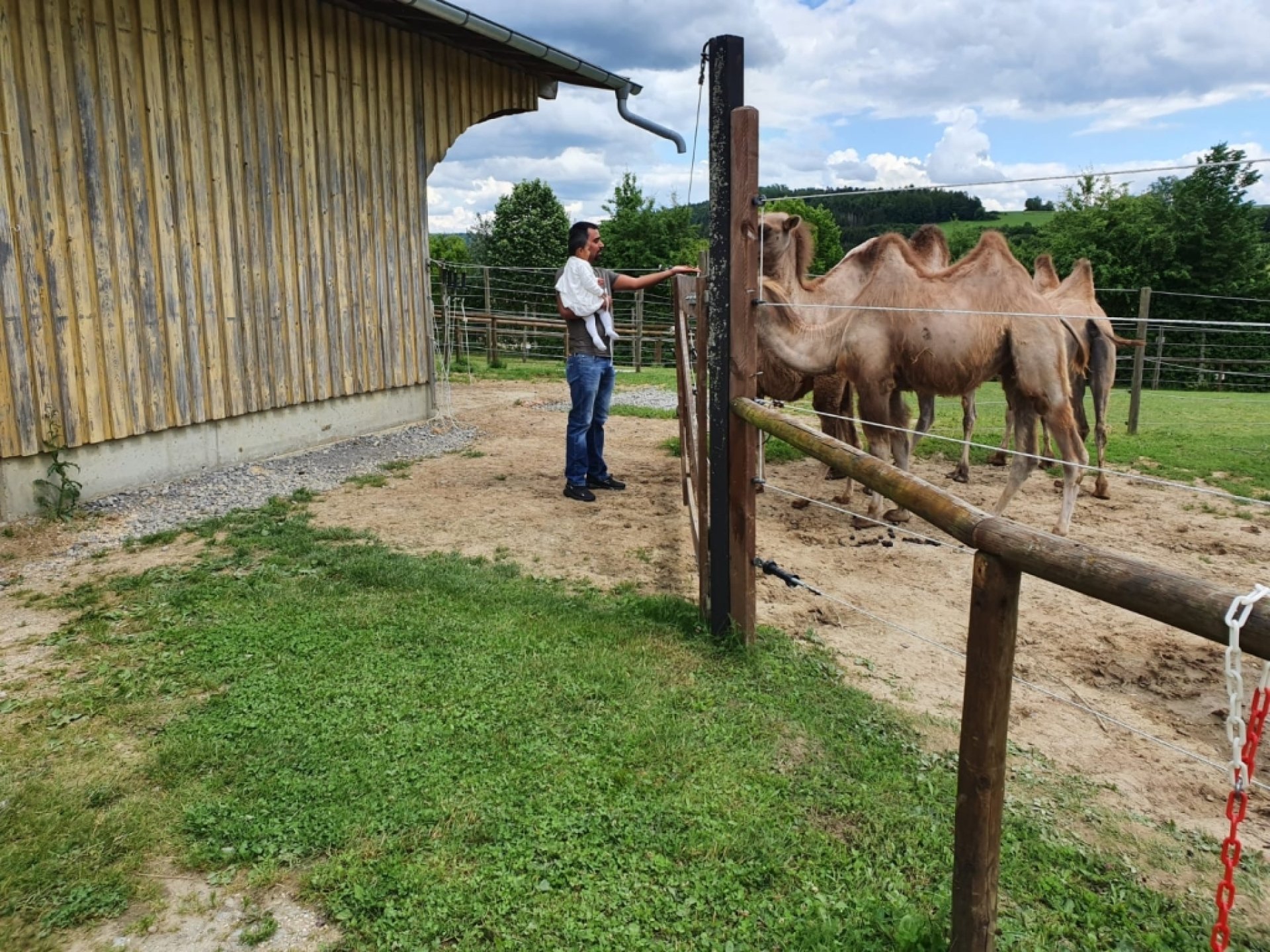 Theme Park Rotfelden OHG, Wildberg: Information, Tickets and Reviews