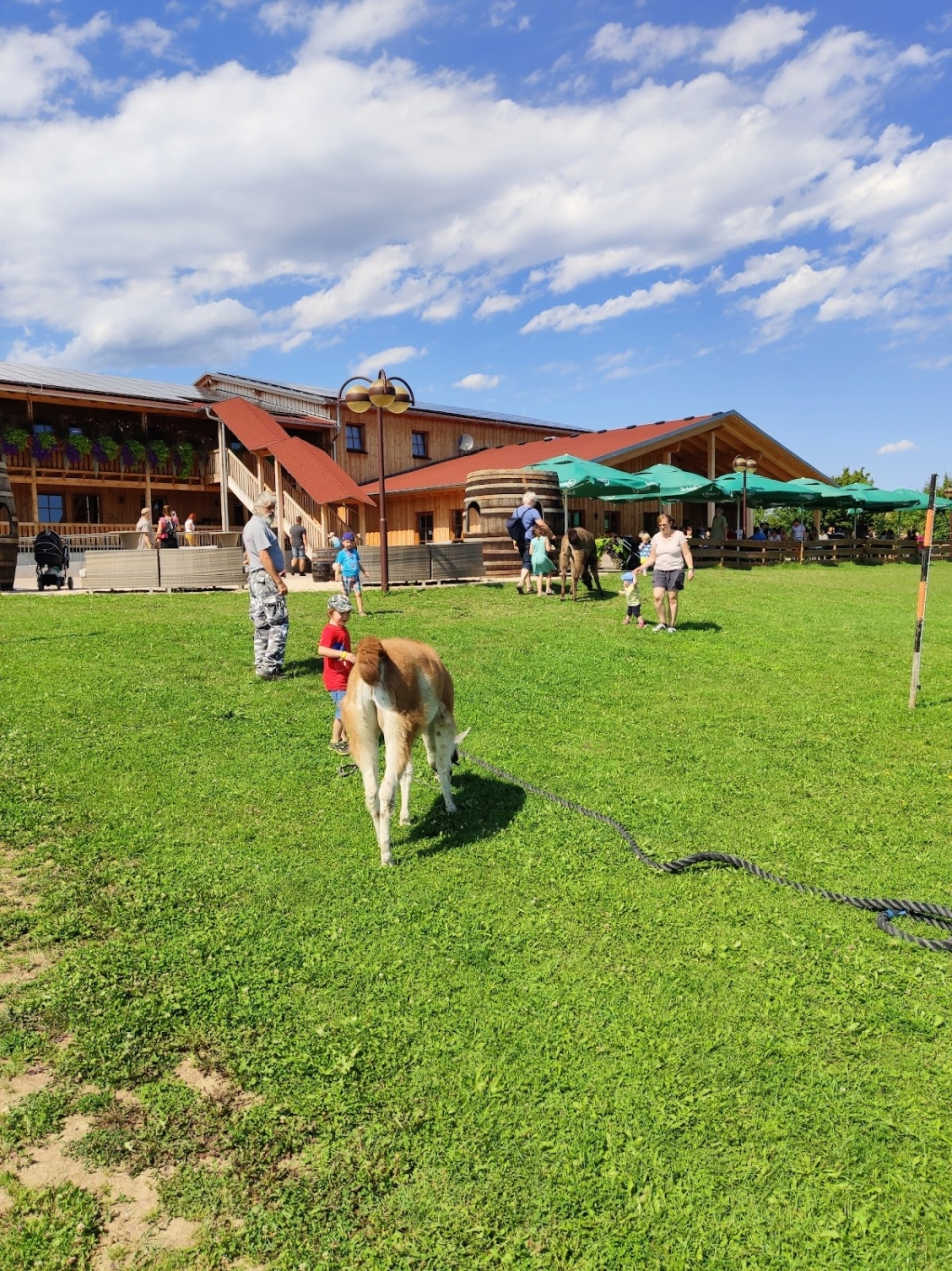 Theme Park Rotfelden OHG, Wildberg: Information, Tickets and Reviews