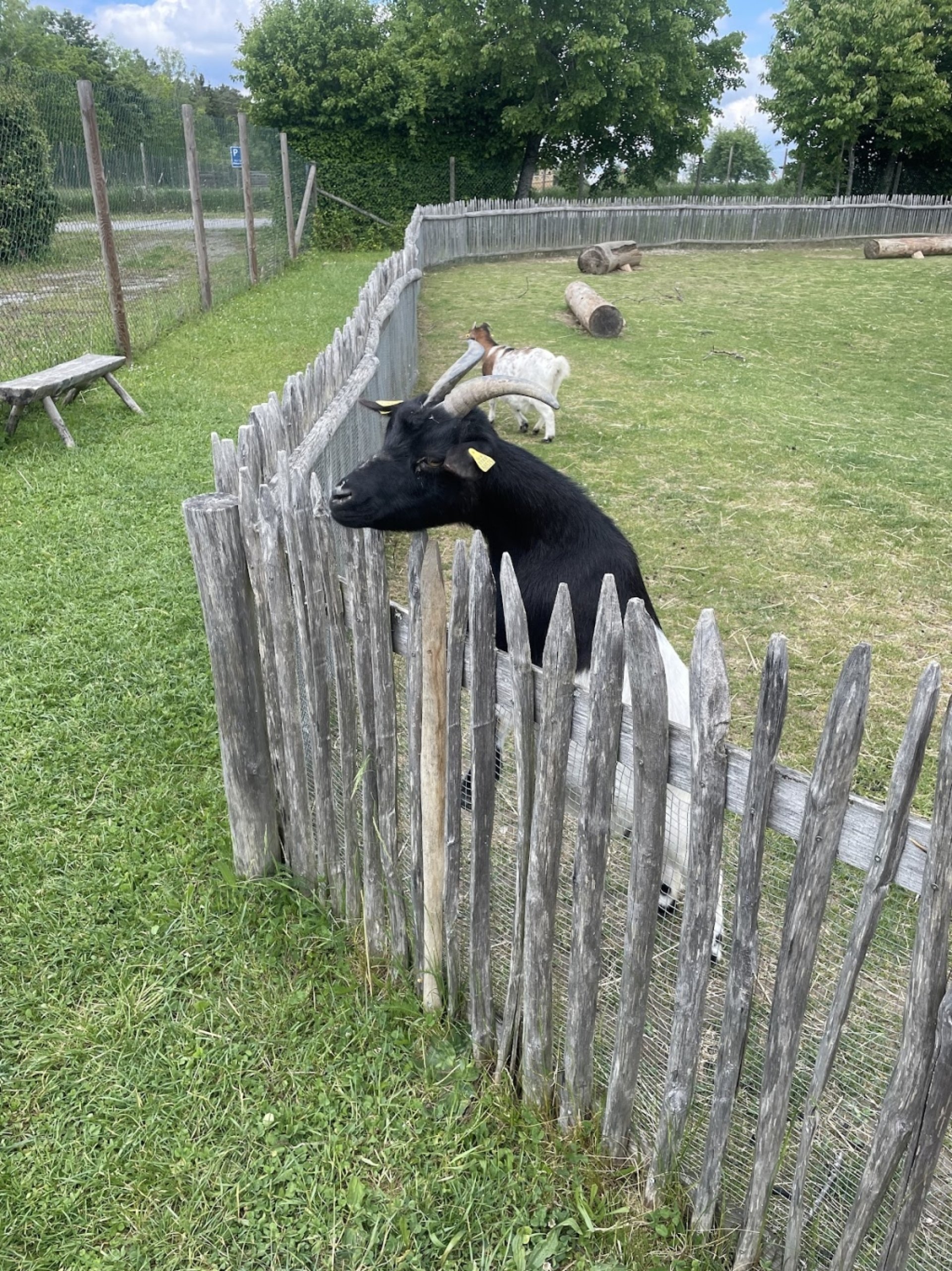 Theme Park Rotfelden OHG, Wildberg: Information, Tickets and Reviews