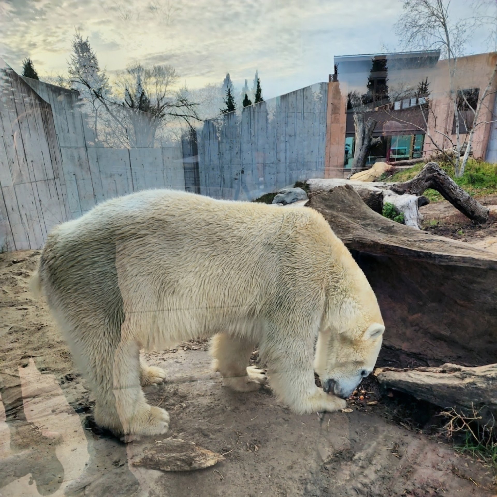 Henry Vilas Zoo, Madison, WI: Information, Tickets and Reviews