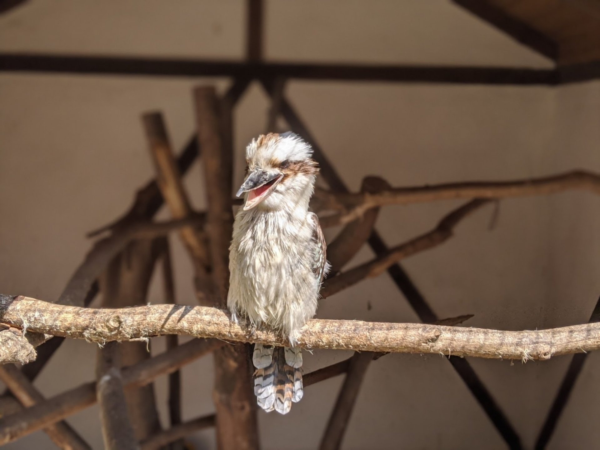 Peacock Garden, Ellwangen (Jagst): Information, Tickets and Reviews