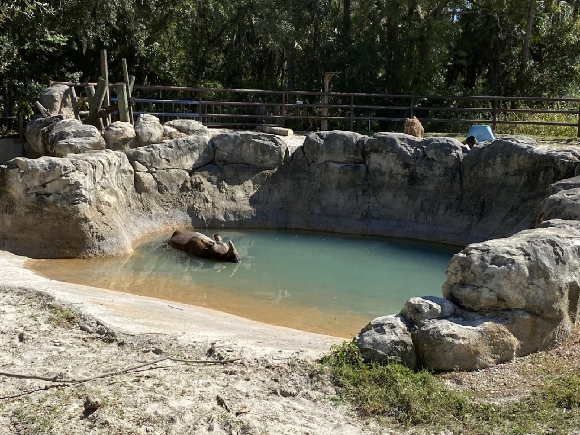 Central Florida Zoo & Botanical Gardens, Sanford, FL: Information ...