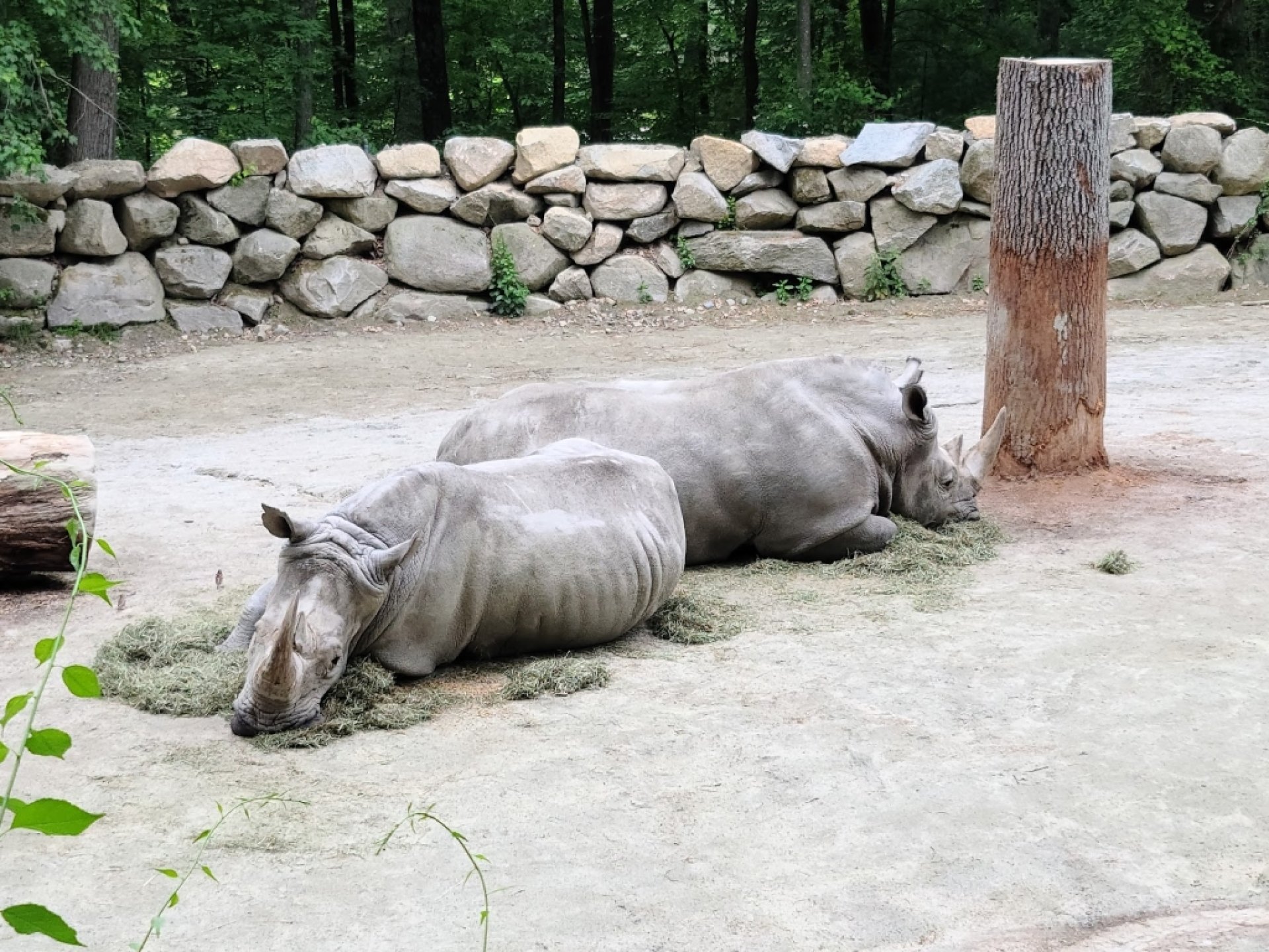 Southwick's Zoo, Mendon, MA: Information, Tickets and Reviews