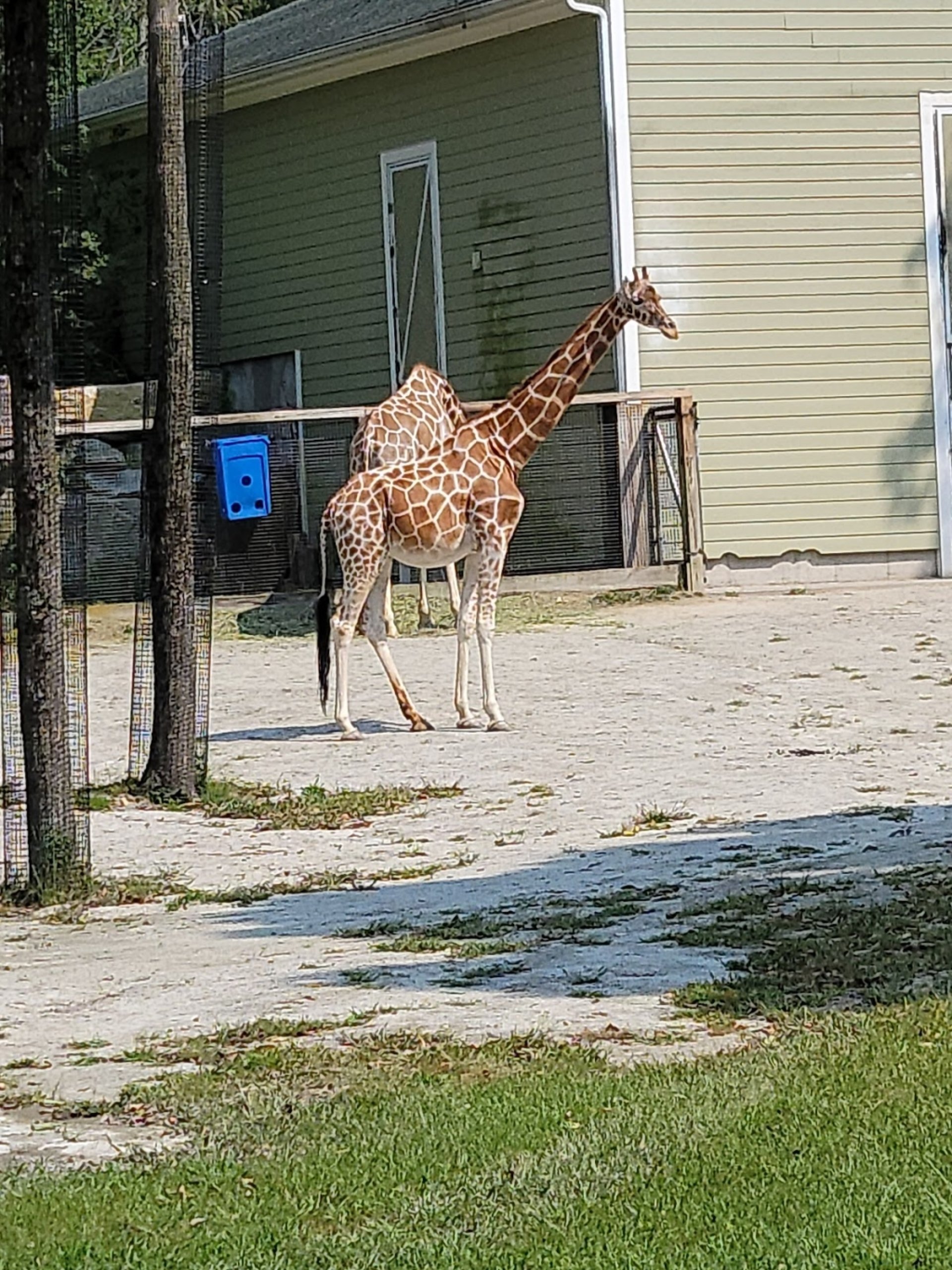 Southwick's Zoo, Mendon, MA: Information, Tickets and Reviews