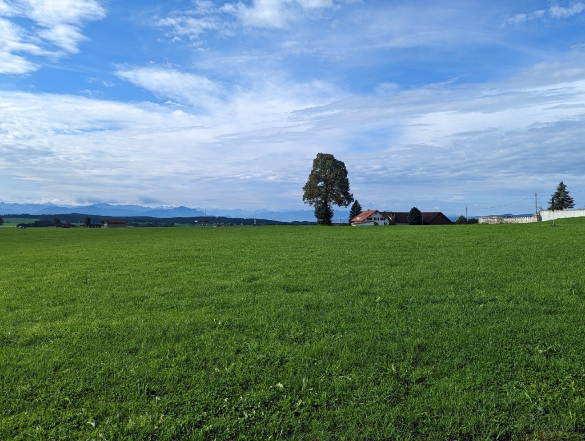 Eselhof Allinger, Kaufbeuren: Information, Tickets and Reviews