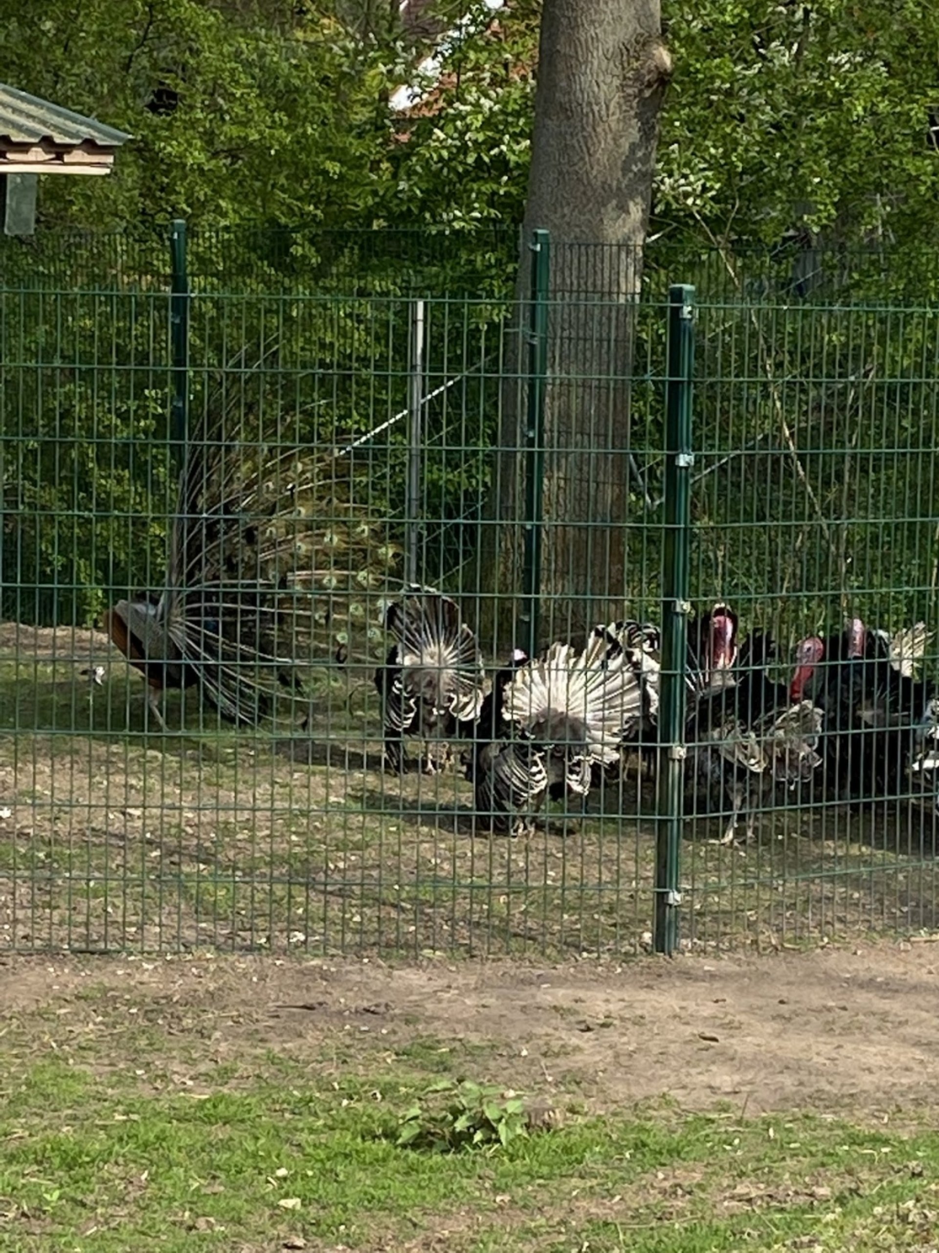 Experience World "Tirica" e.V., Sömmerda: Information, Tickets and Reviews