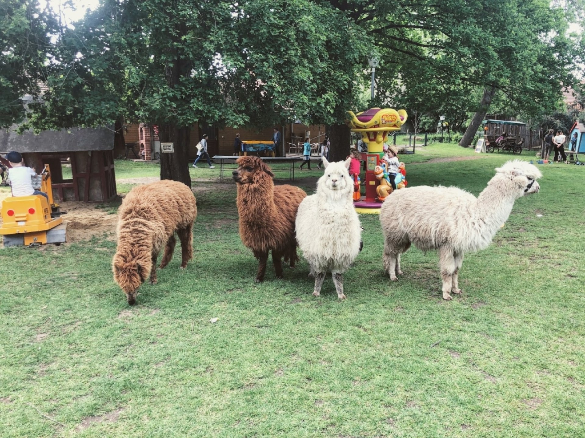 Experience World "Tirica" e.V., Sömmerda: Information, Tickets and Reviews