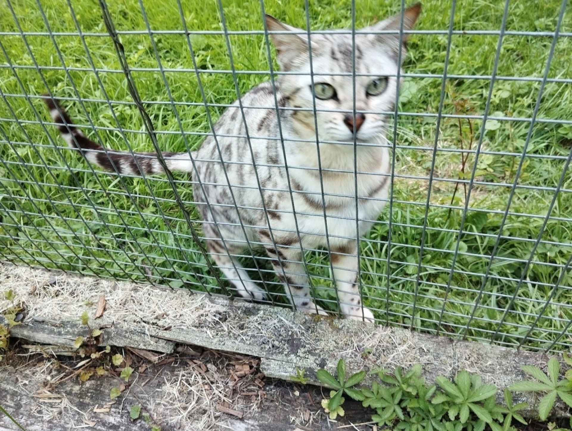 Experience World "Tirica" e.V., Sömmerda: Information, Tickets and Reviews