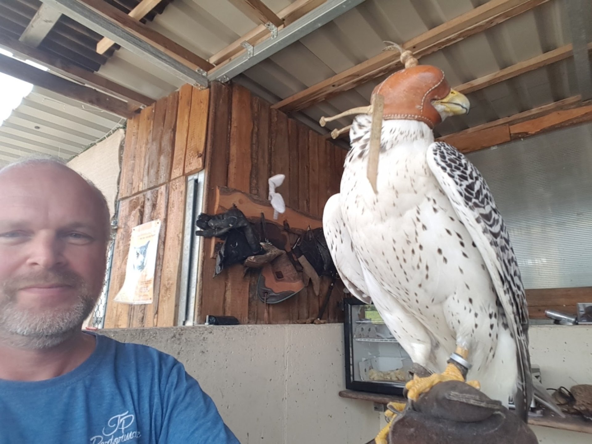 Garuda Falconry, Weil im Schönbuch: Information, Tickets and Reviews