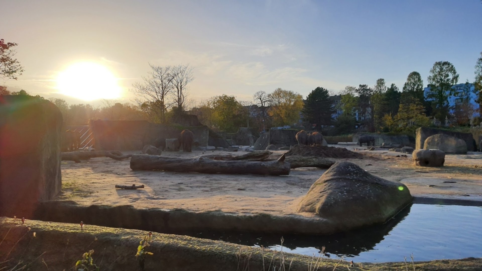 Elephant House at Cologne Zoo, Köln: Information, Tickets and Reviews