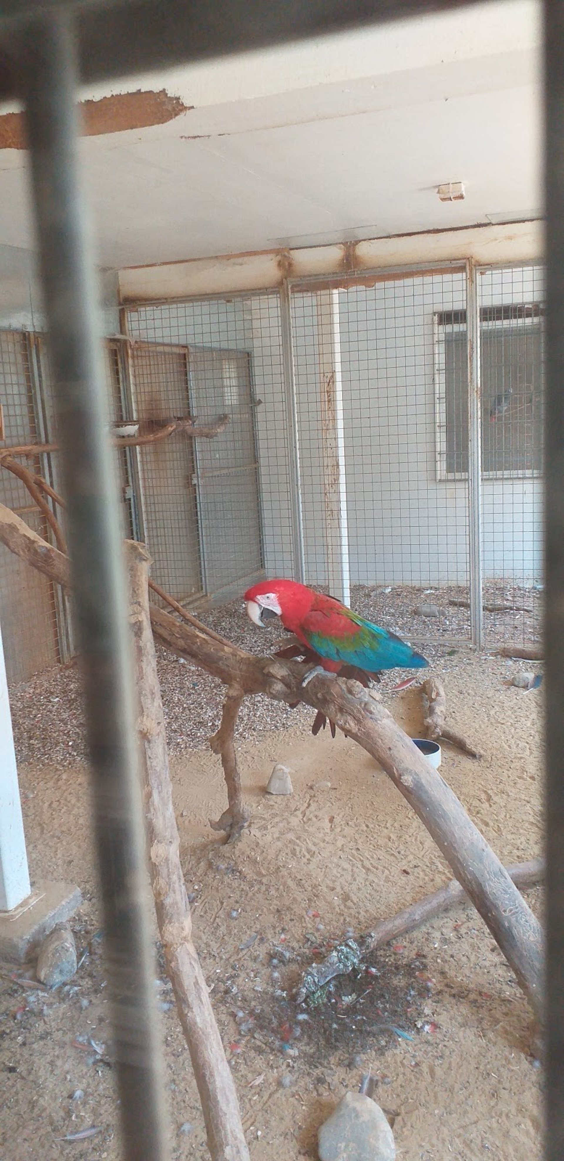 Tierhof Mittelbuch, Biberach an der Riß: Information, Tickets and Reviews