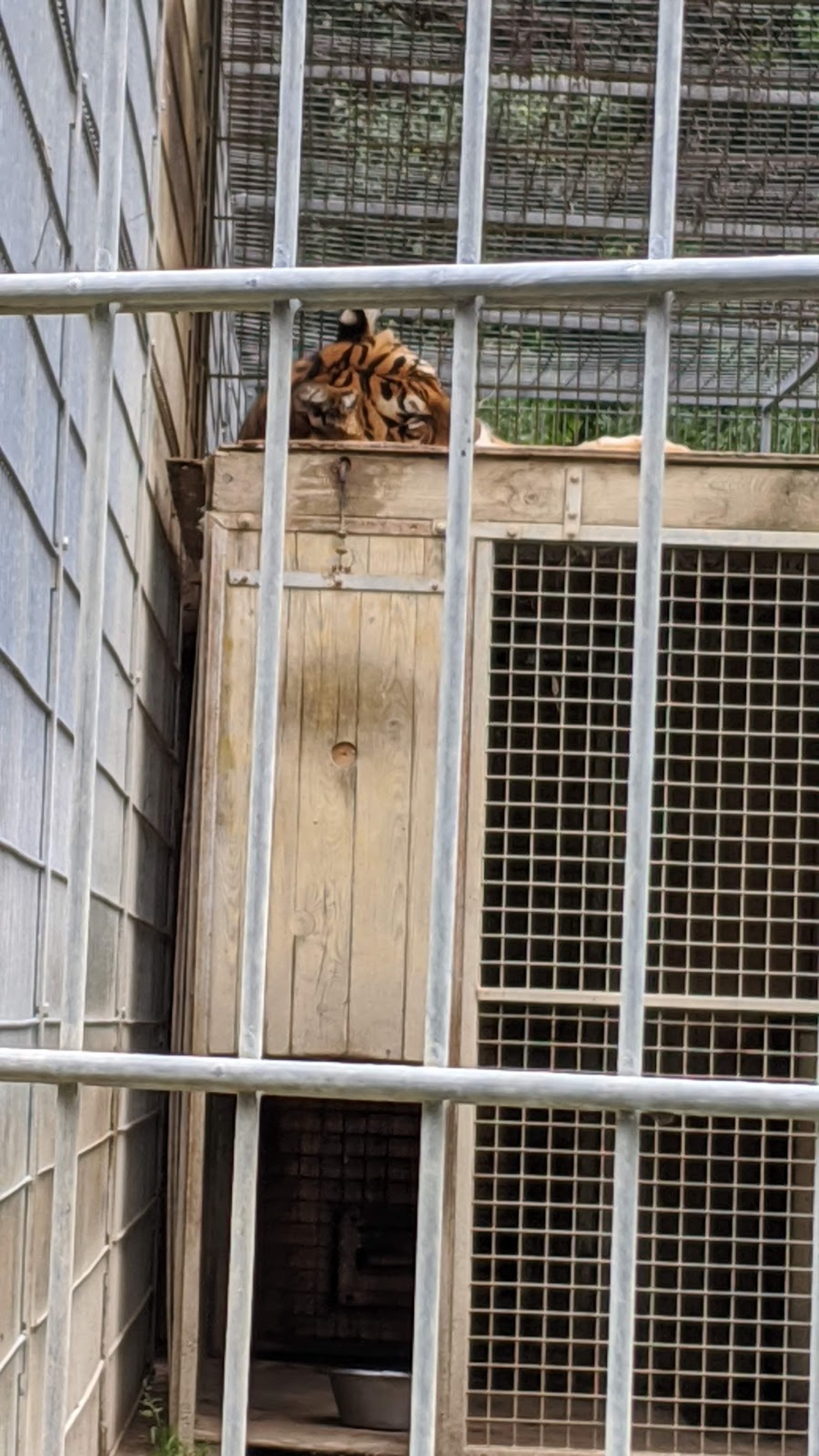 Tierhof Mittelbuch, Biberach an der Riß: Information, Tickets and Reviews