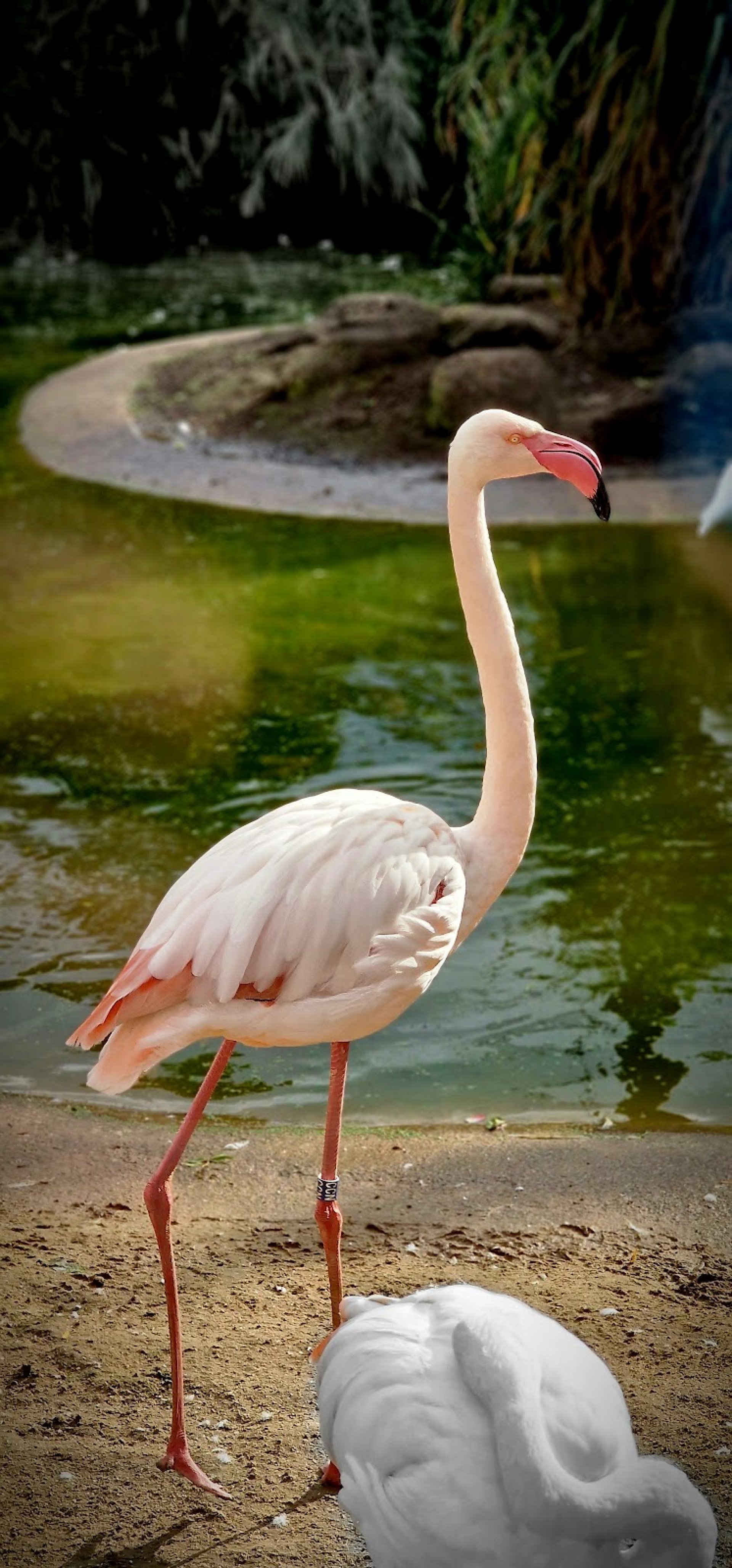 Zoopark, Erfurt: Information, Tickets and Reviews