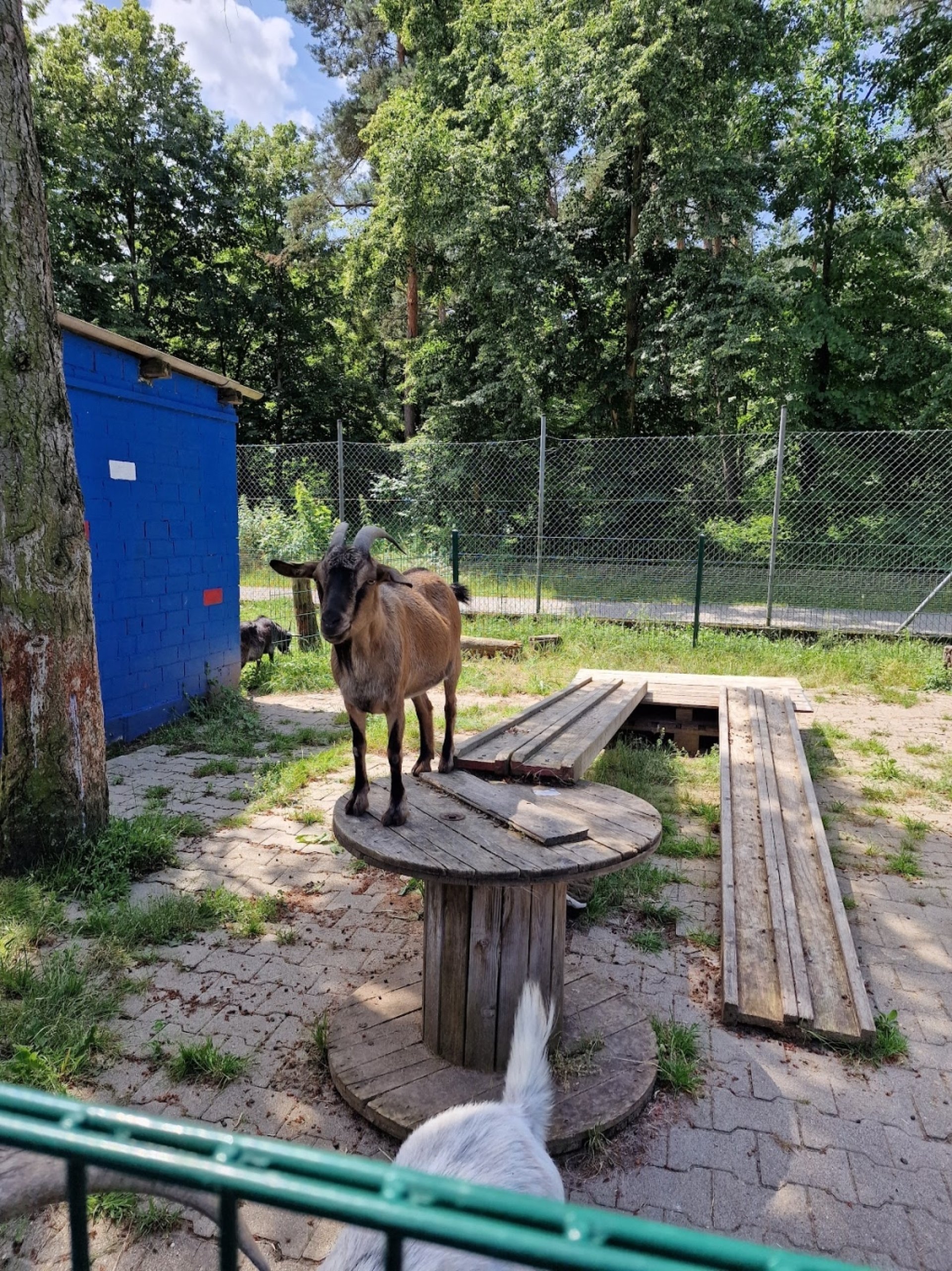 Bird Park Waghäusel: Information, Tickets and Reviews