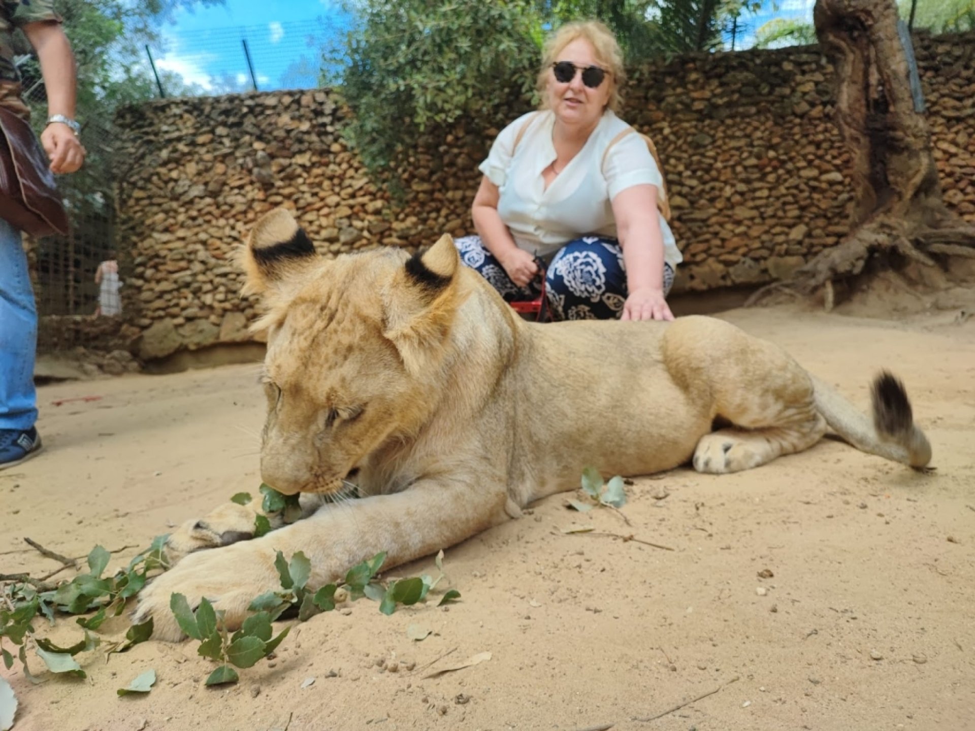 Zoo de Castellar, Castellar de la Frontera: Información, Entradas y ...
