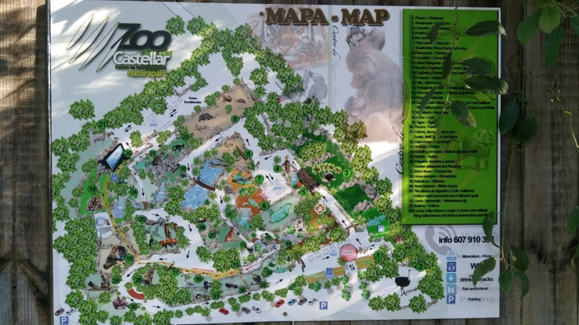 Zoo de Castellar, Castellar de la Frontera: Información, Entradas y ...