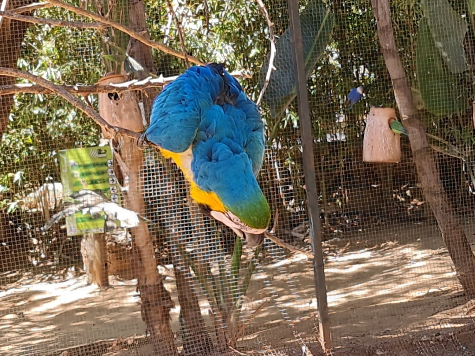 Zoo de Castellar, Castellar de la Frontera: Información, Entradas y ...