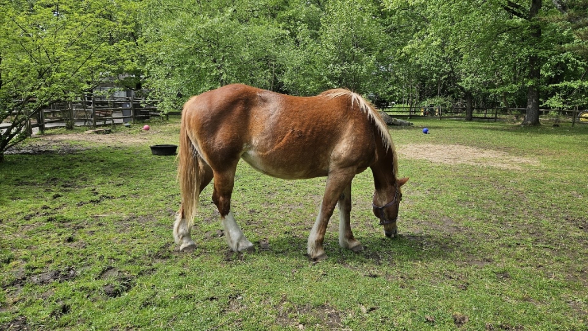 Van Saun County Park, Paramus, NJ: Information, Tickets and Reviews