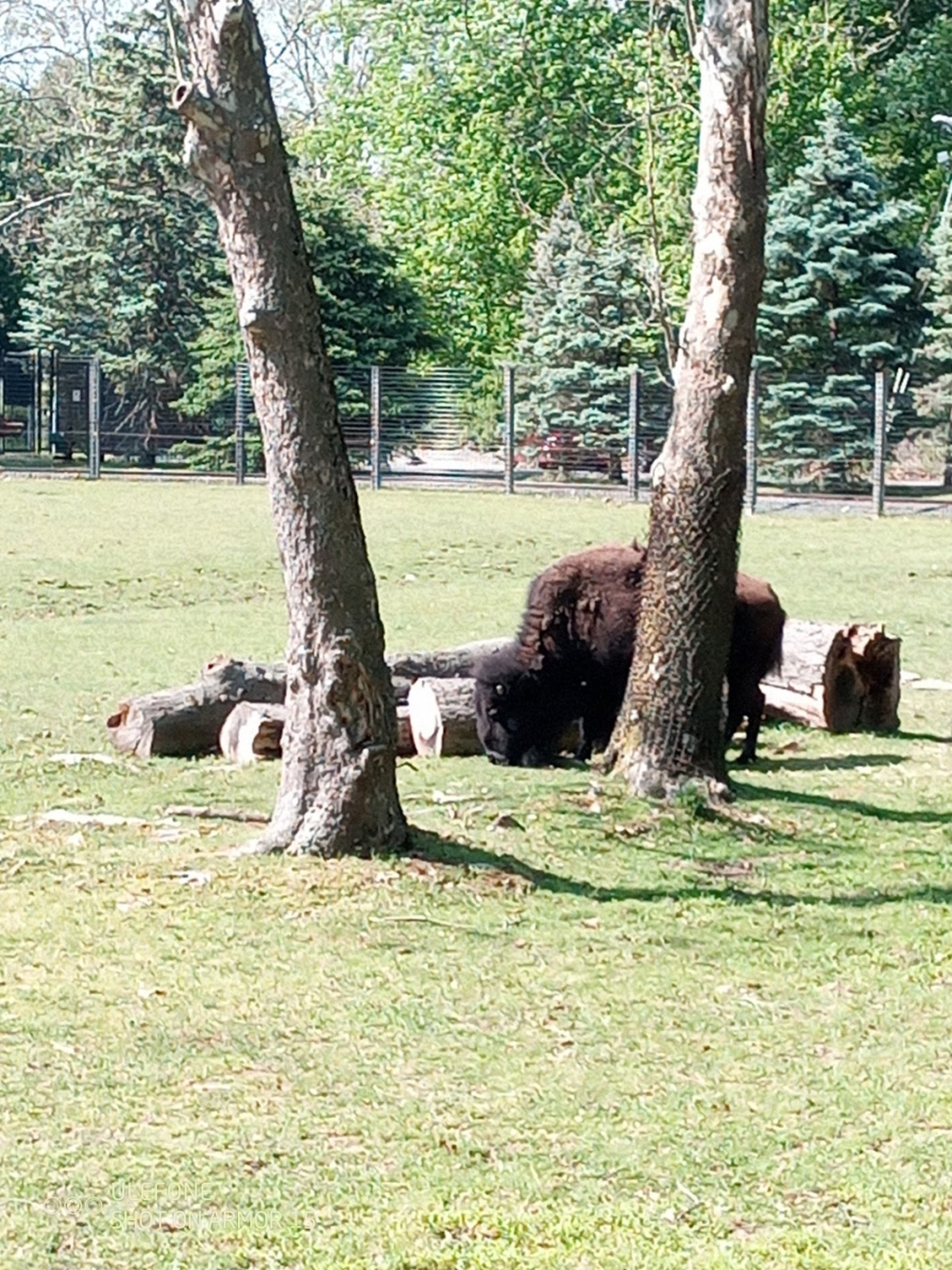 Van Saun County Park, Paramus, NJ: Information, Tickets and Reviews