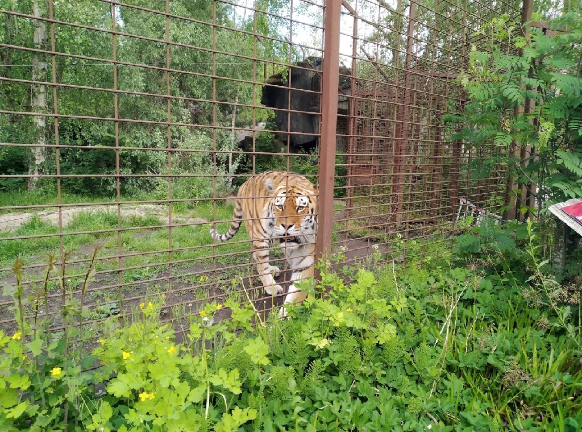 Odense Zoo: Information, Tickets and Reviews