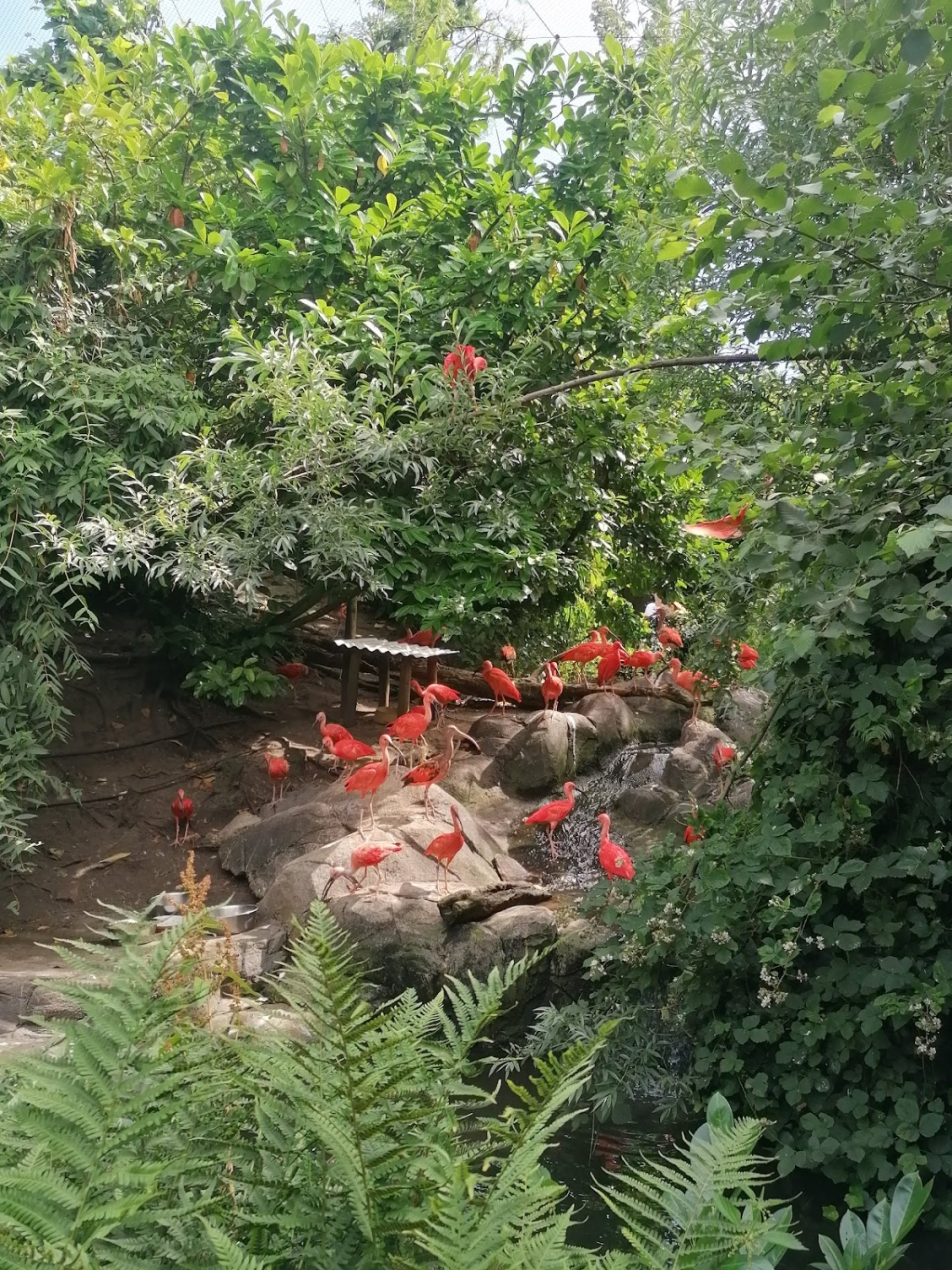 Odense Zoo: Information, Tickets and Reviews