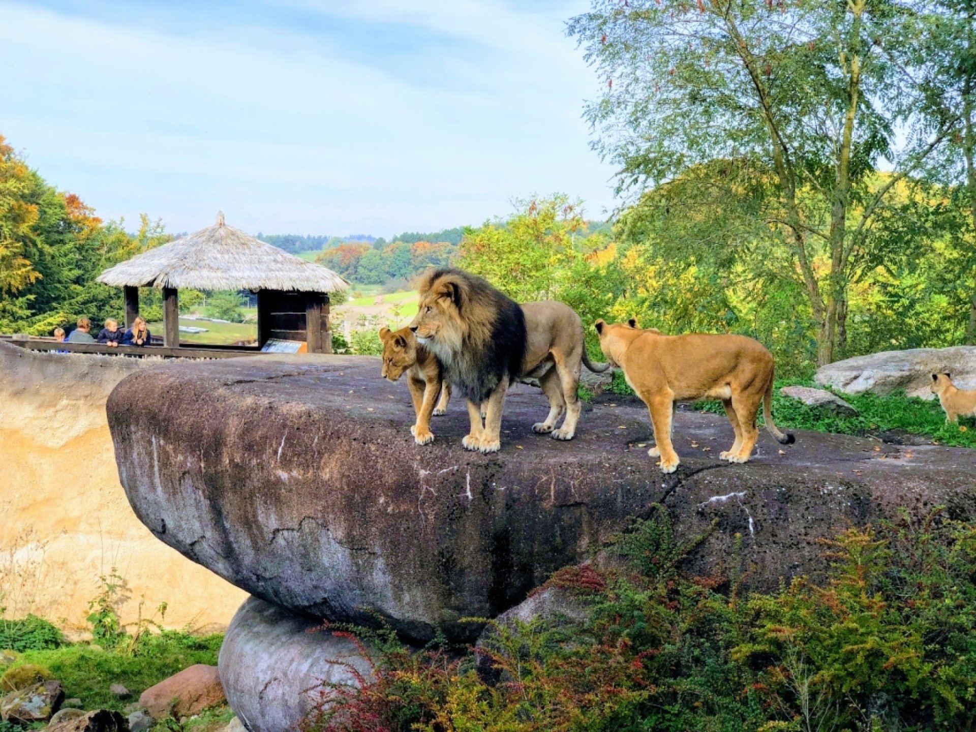 Ree Park Safari, Rønde: Information, Tickets and Reviews