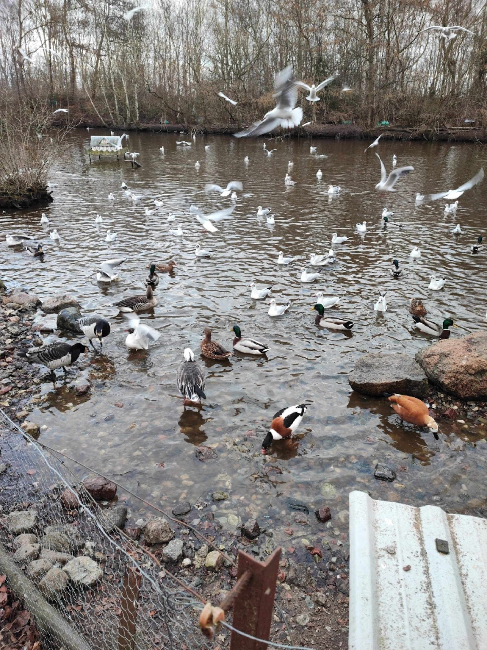 Loch Ness, Kalundborg: Information, Tickets and Reviews