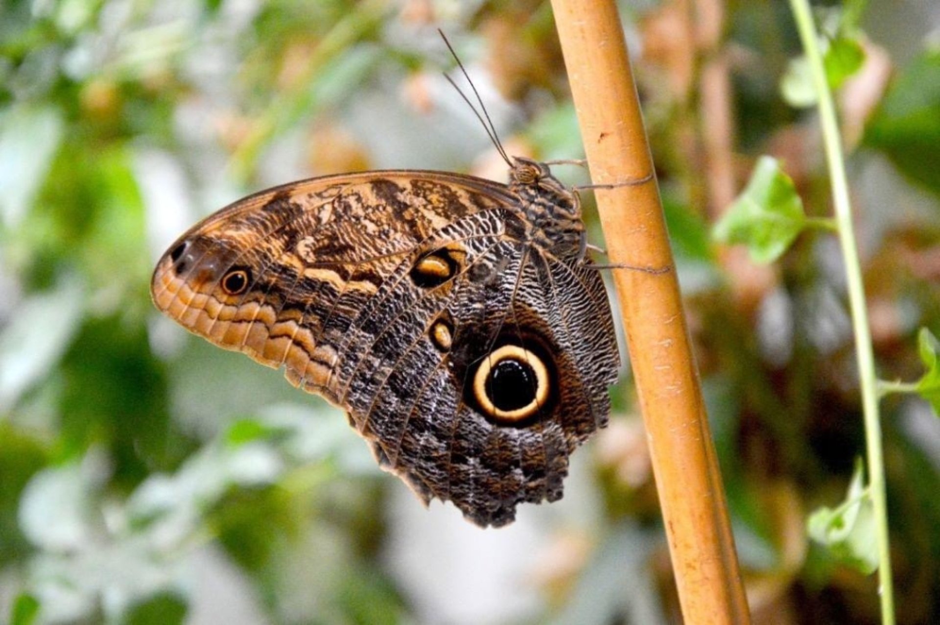 Exotic Park, Lescar Zoo: Information, Tickets and Reviews