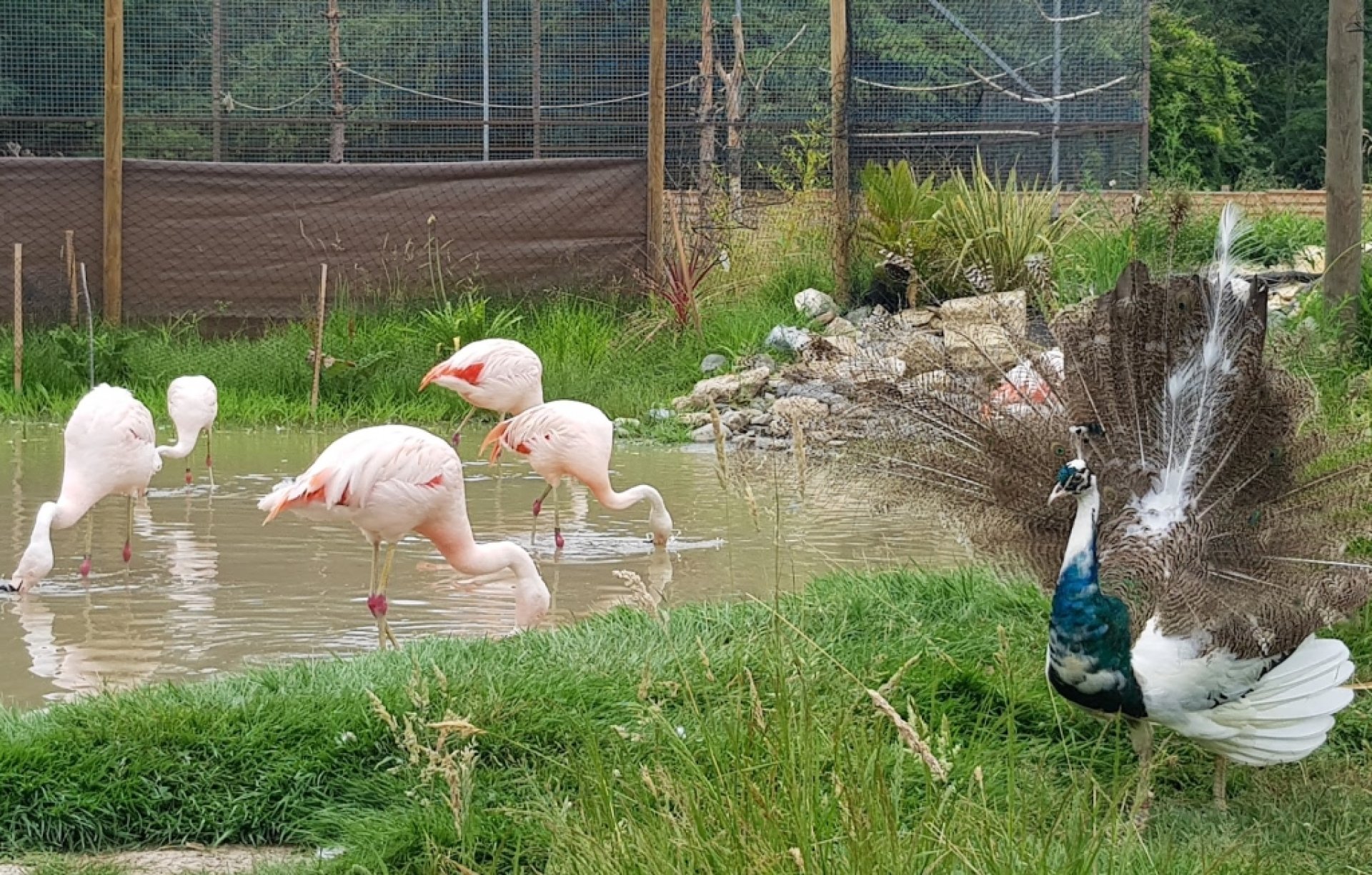 Exotic Park, Lescar Zoo: Information, Tickets and Reviews