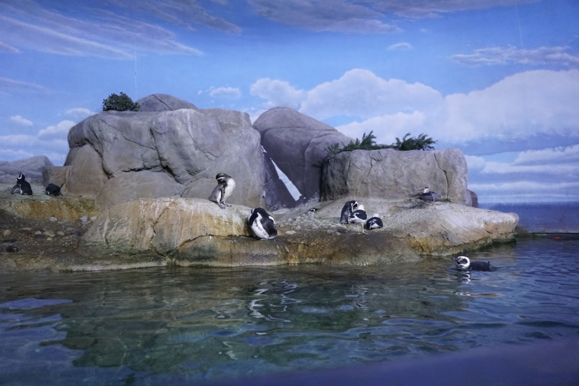 John Ball Park, Grand Rapids, MI: Information, Tickets and Reviews