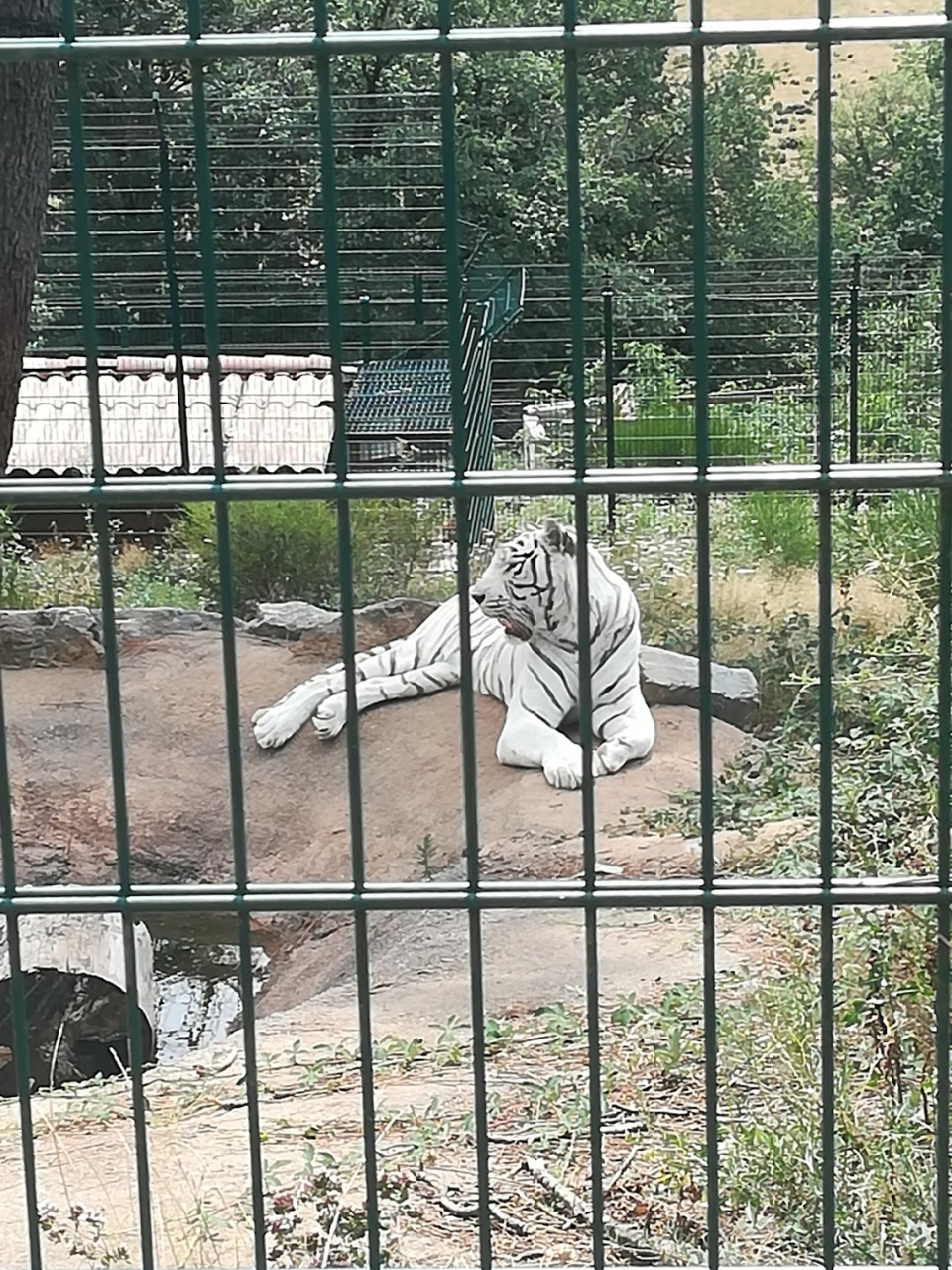 The Three Valleys Zoo, Montredon-Labessonnié: Information, Tickets and ...