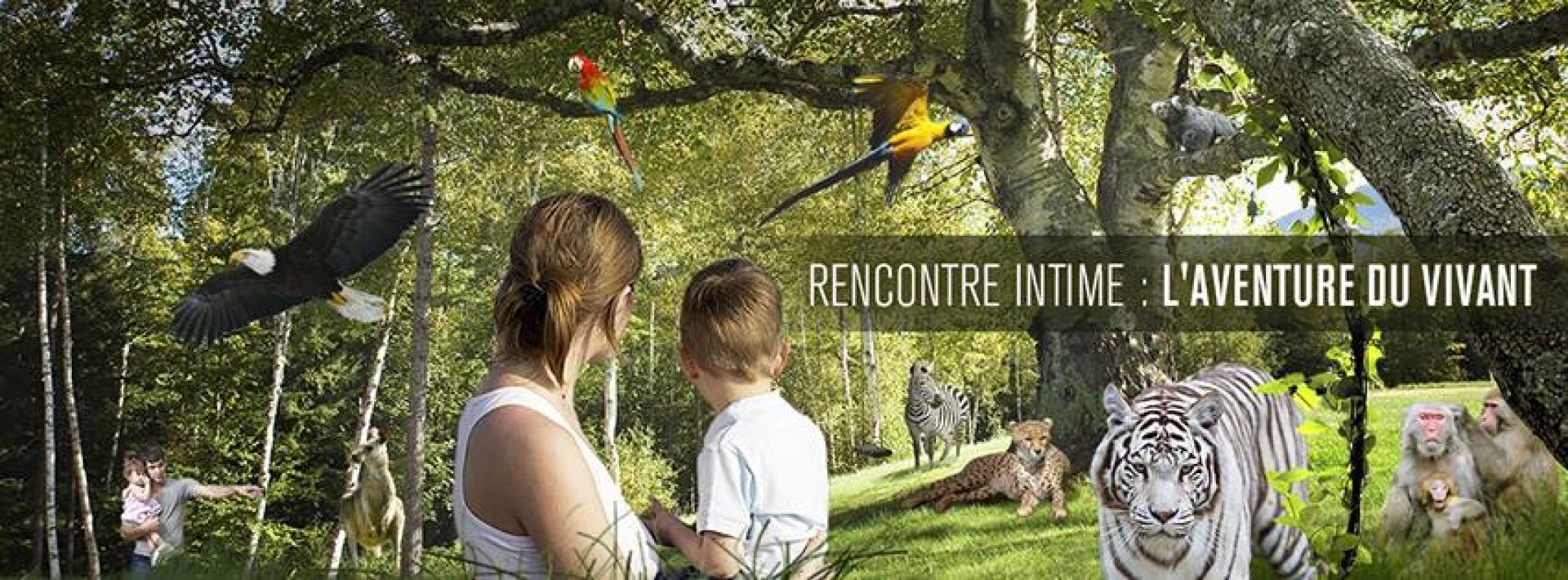 The Three Valleys Zoo, Montredon-Labessonnié: Information, Tickets and ...