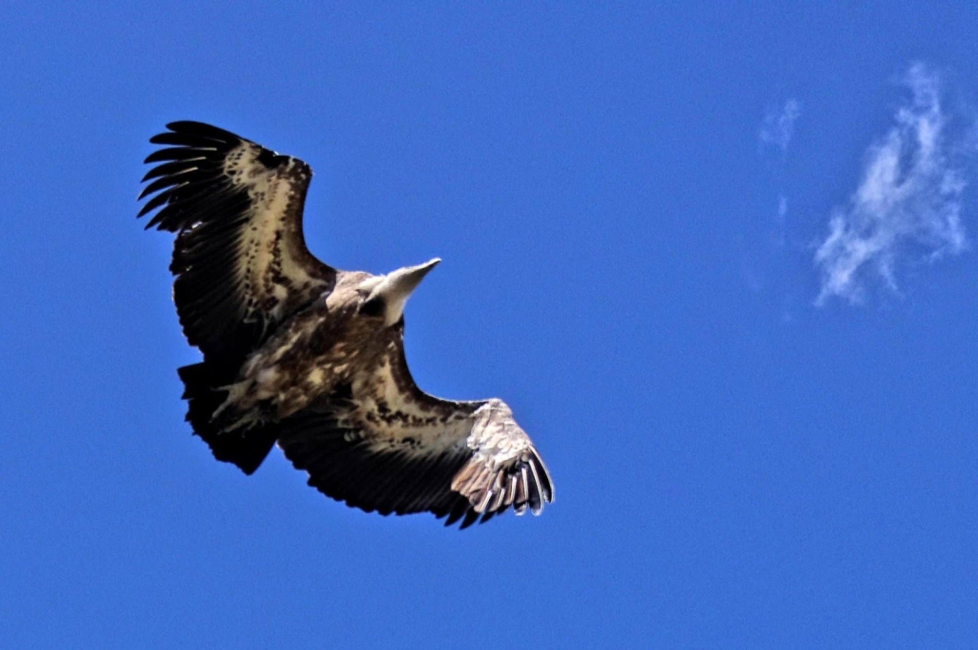 The Masters of the Air, Saint-Aignan: Information, Tickets and Reviews