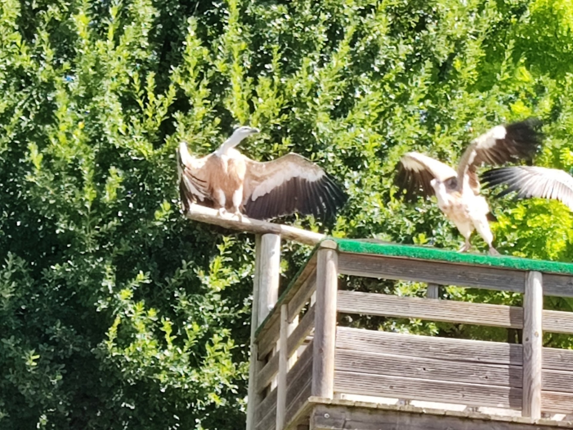 The Masters of the Air, Saint-Aignan: Information, Tickets and Reviews