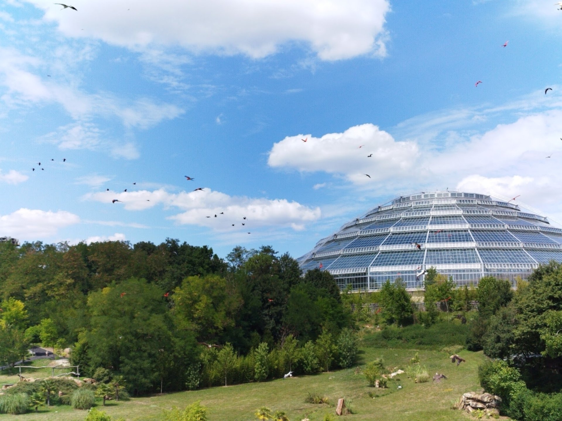 The Masters of the Air, Saint-Aignan: Information, Tickets and Reviews