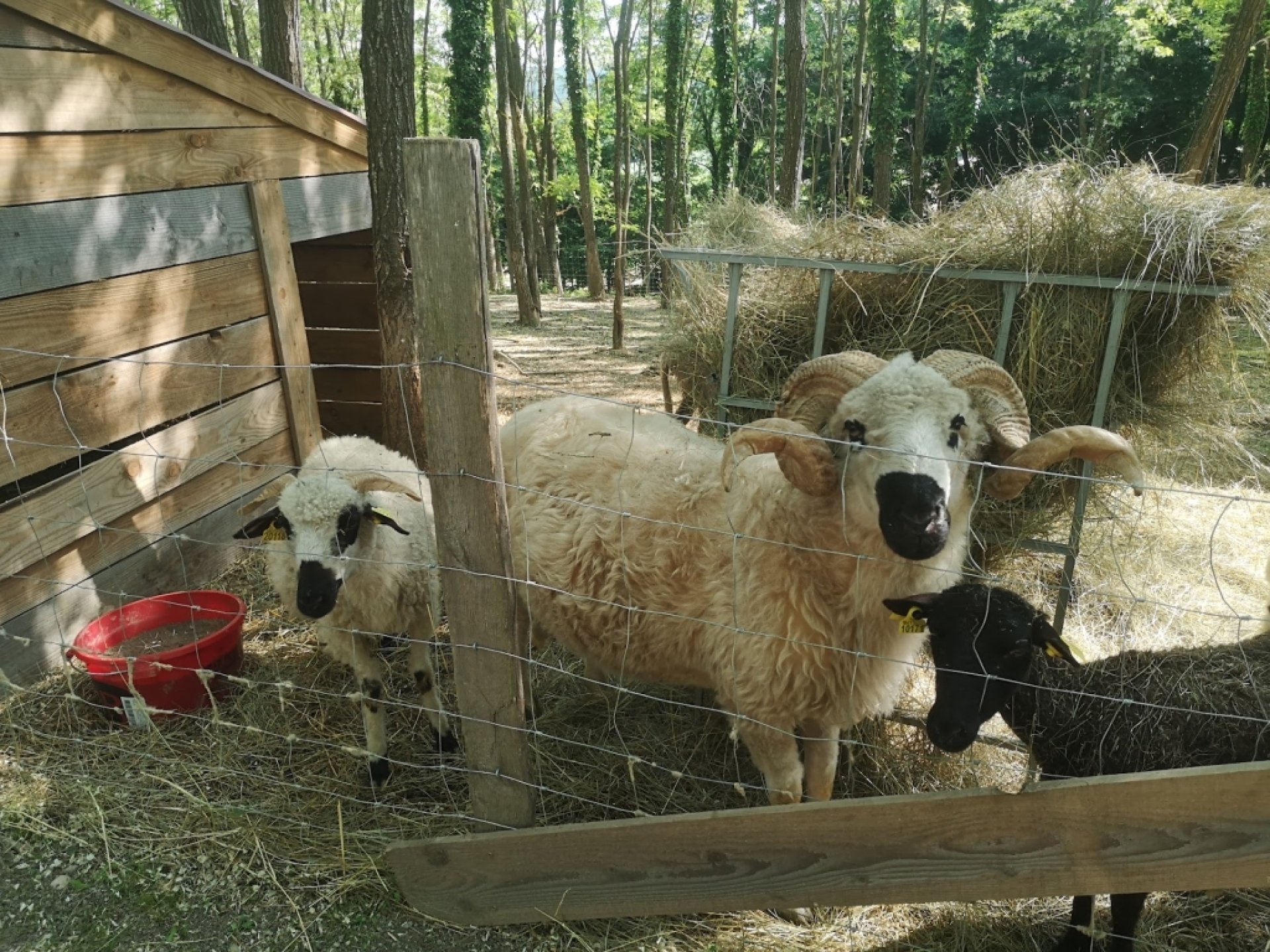 The Enchanted Postman's Farm, Hauterives: Information, Tickets and Reviews