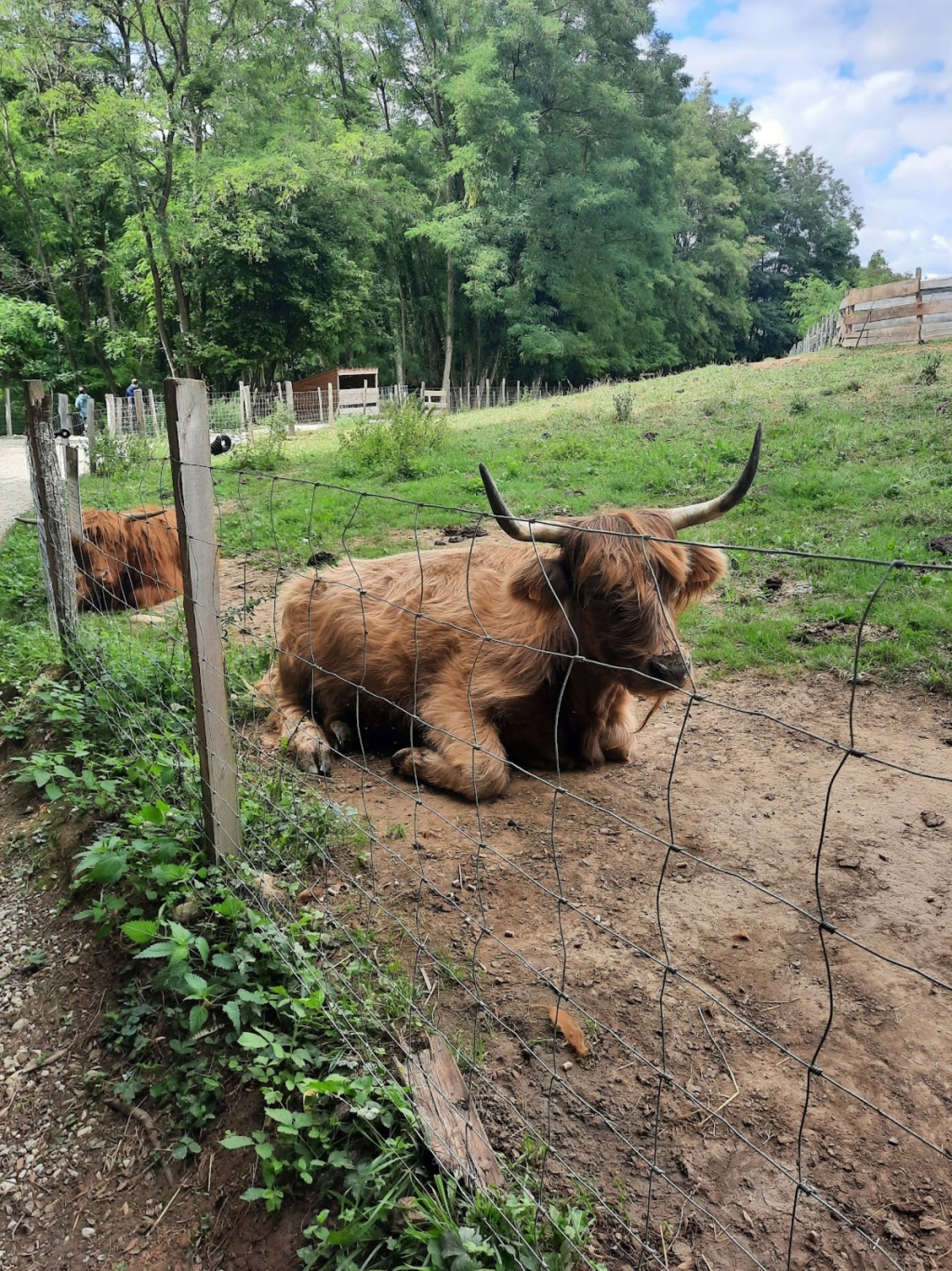 The Enchanted Postman's Farm, Hauterives: Information, Tickets and Reviews