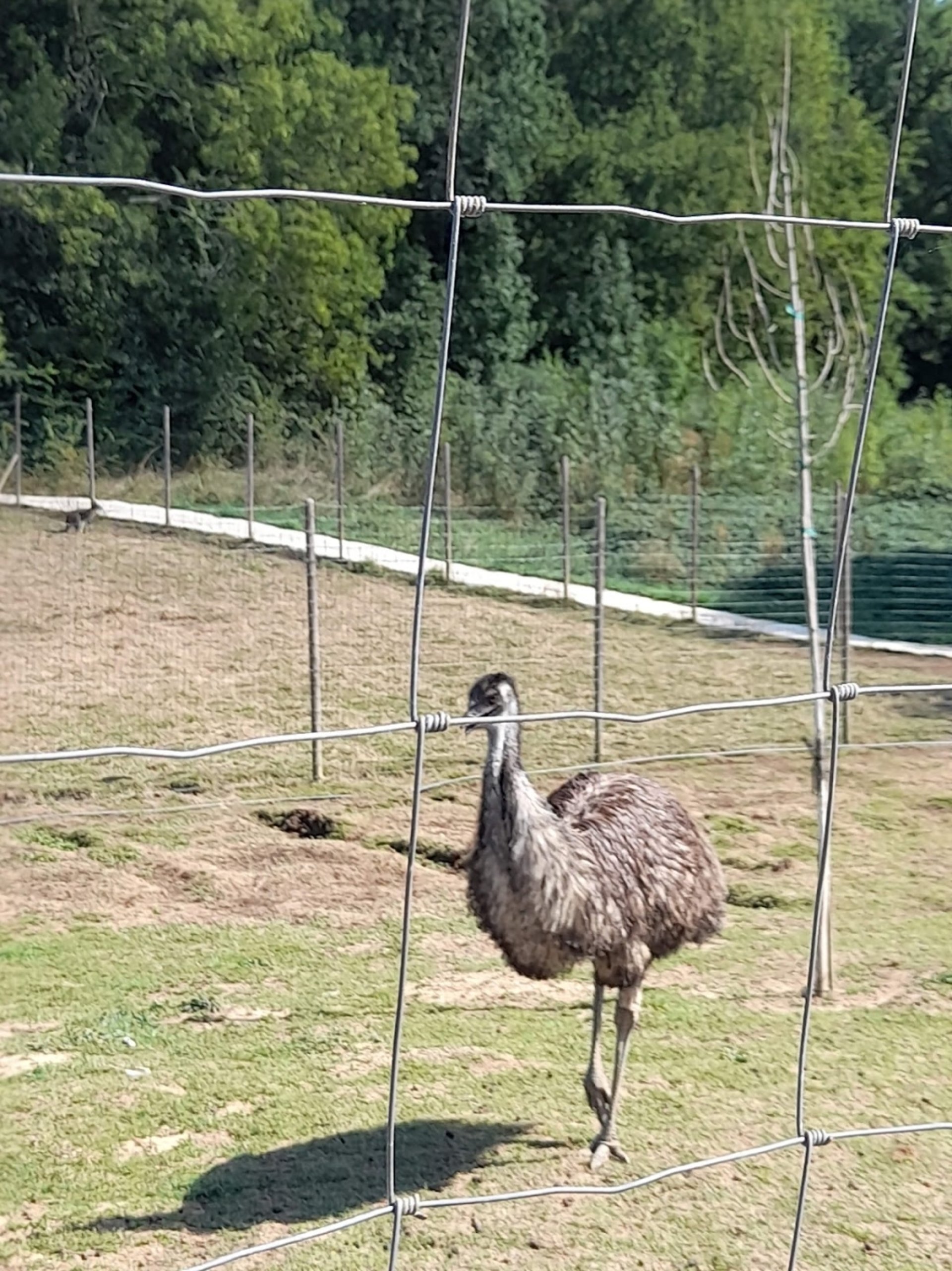 Zoo Refugio de Mescoules/Bergerac, Mescoulès: Información, Entradas y ...