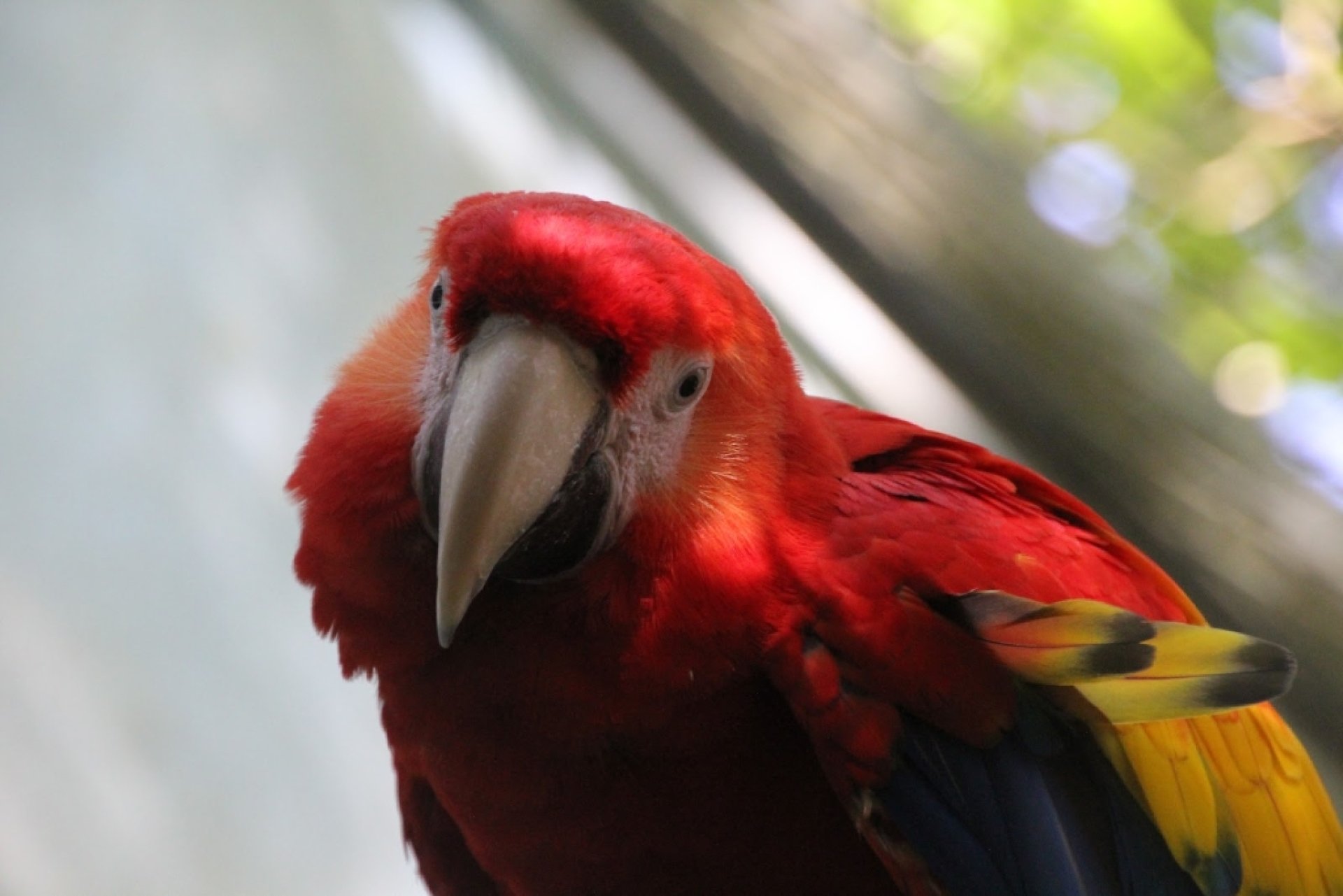 Zoo St. Pierre Woods, Smarves: Information, Tickets and Reviews