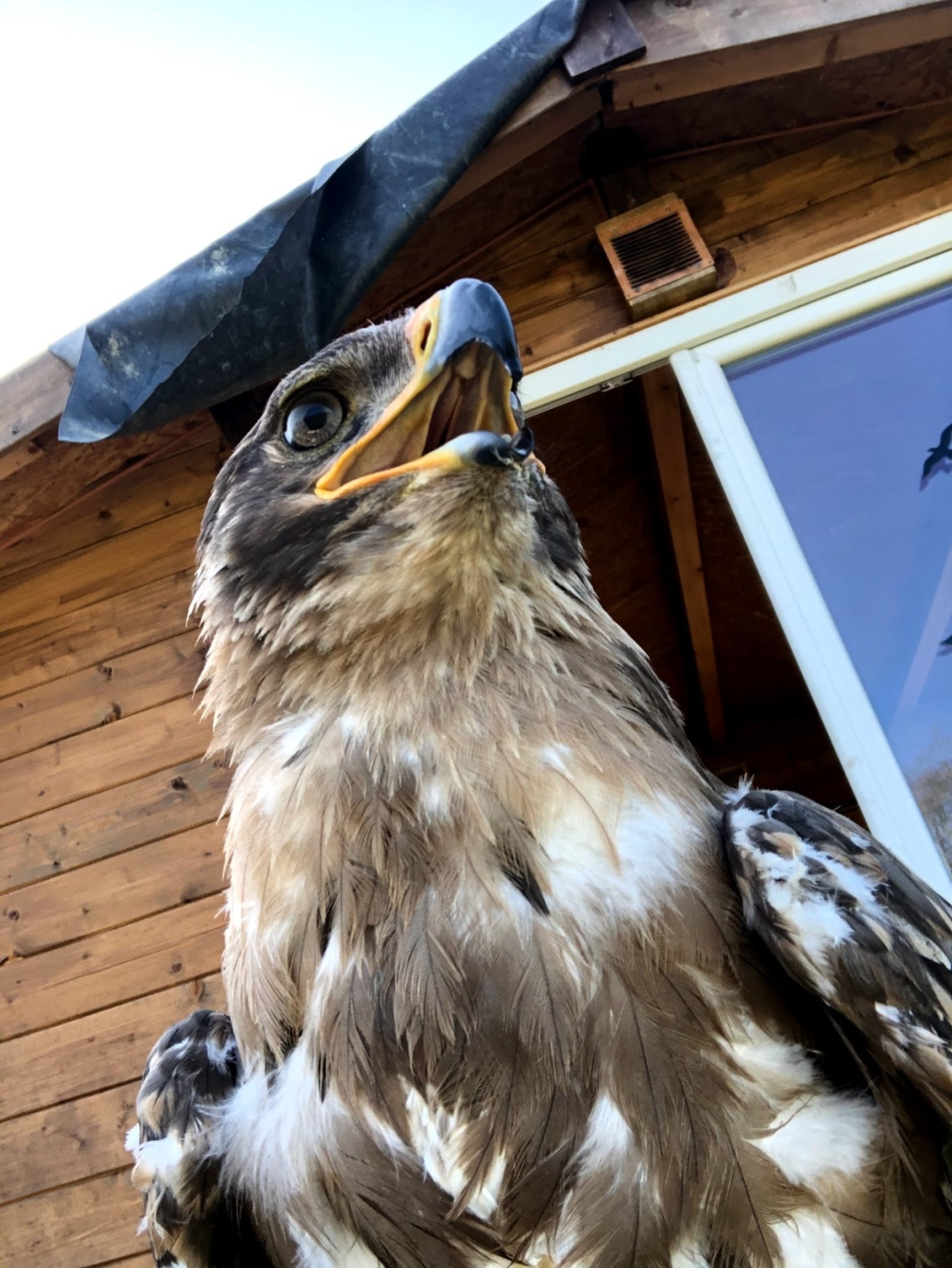 The Wild Park Zoo, Angoulême: Information, Tickets and Reviews