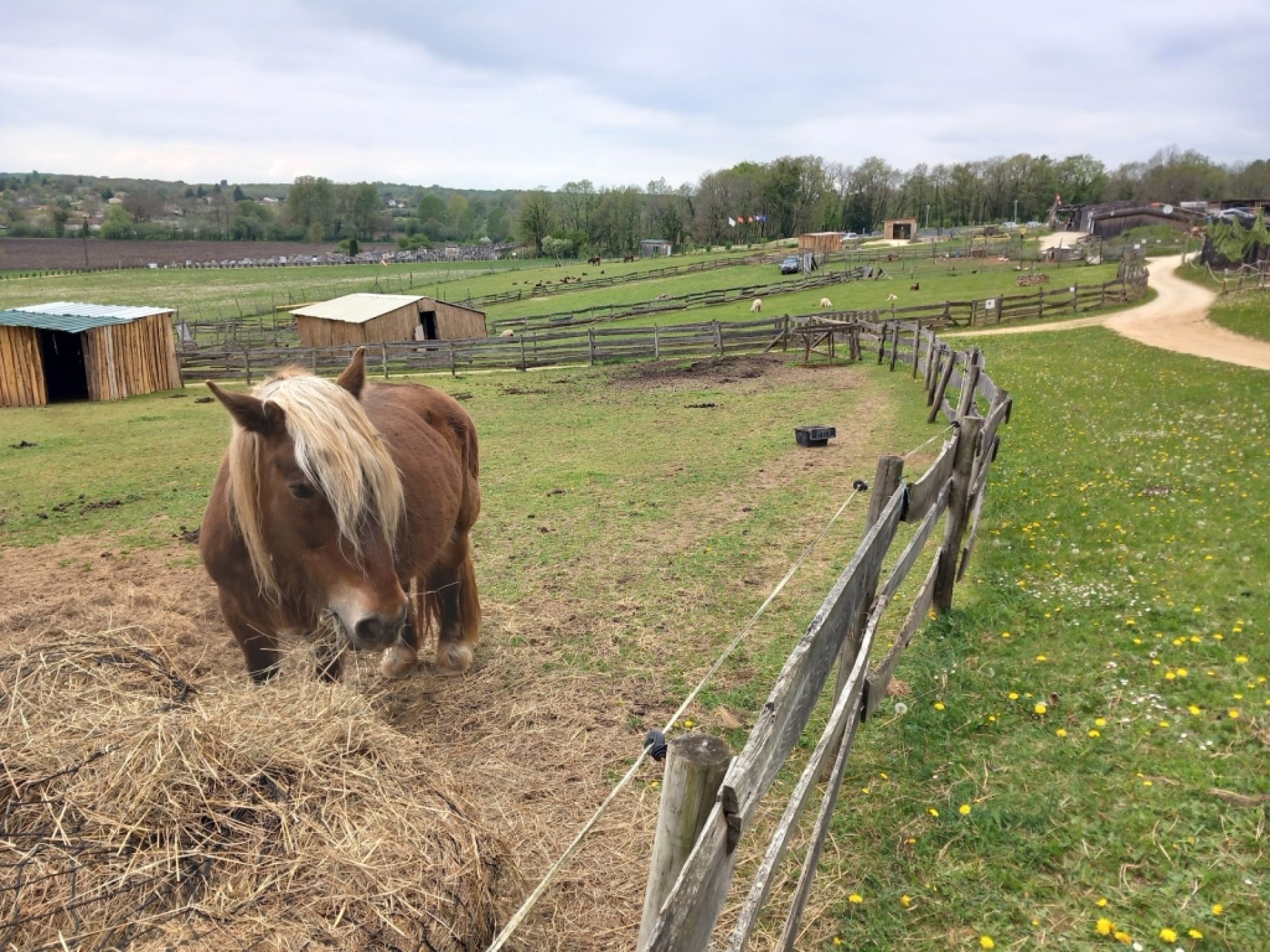 The Wild Park Zoo, Angoulême: Information, Tickets and Reviews
