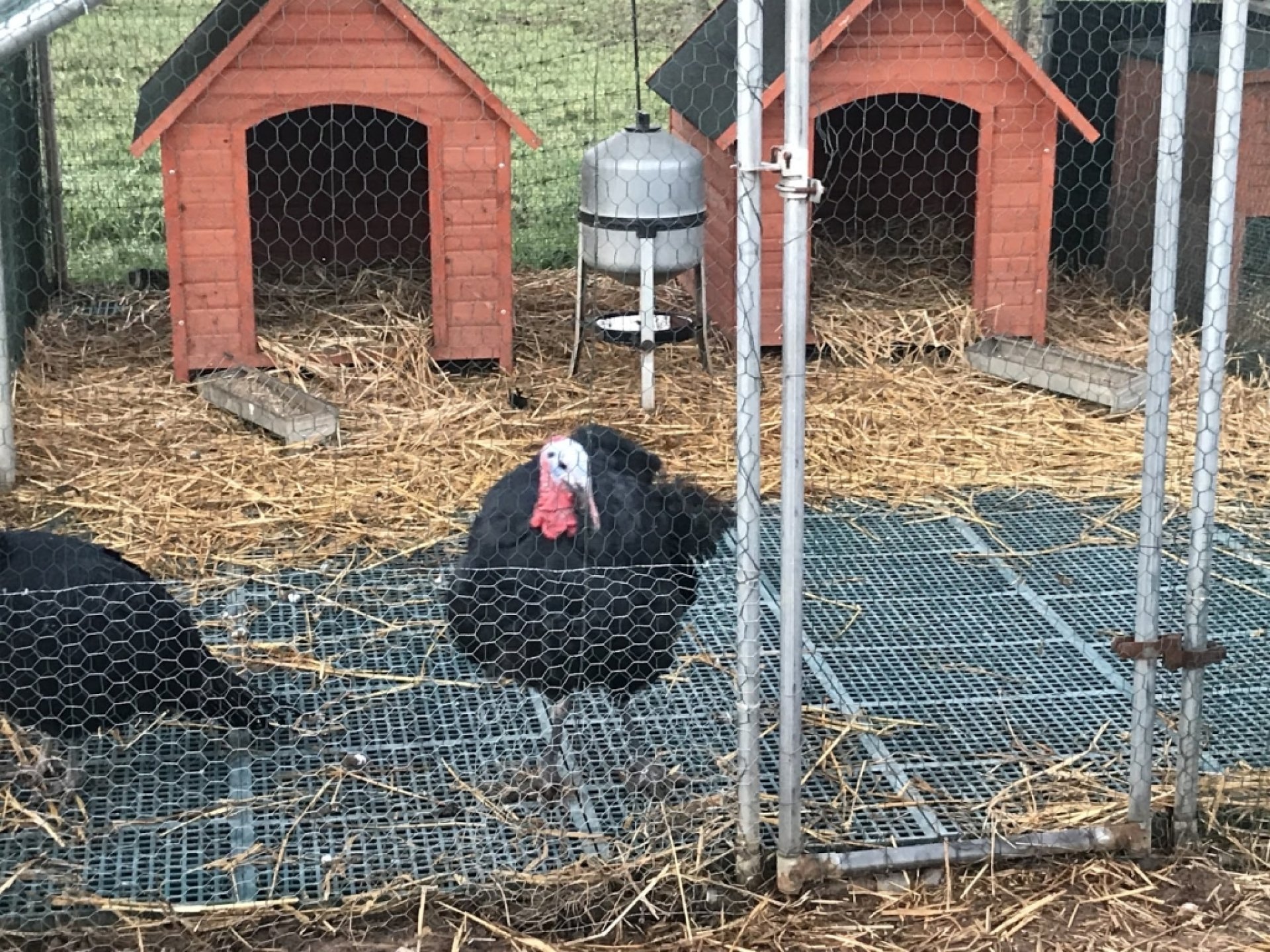 Roncheville Orchard/Animal Park Minigolf/Orchard Rotisserie, Bavent ...