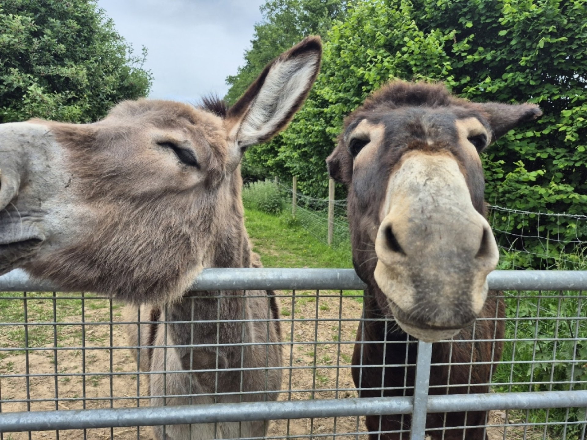Roncheville Orchard/Animal Park Minigolf/Orchard Rotisserie, Bavent ...