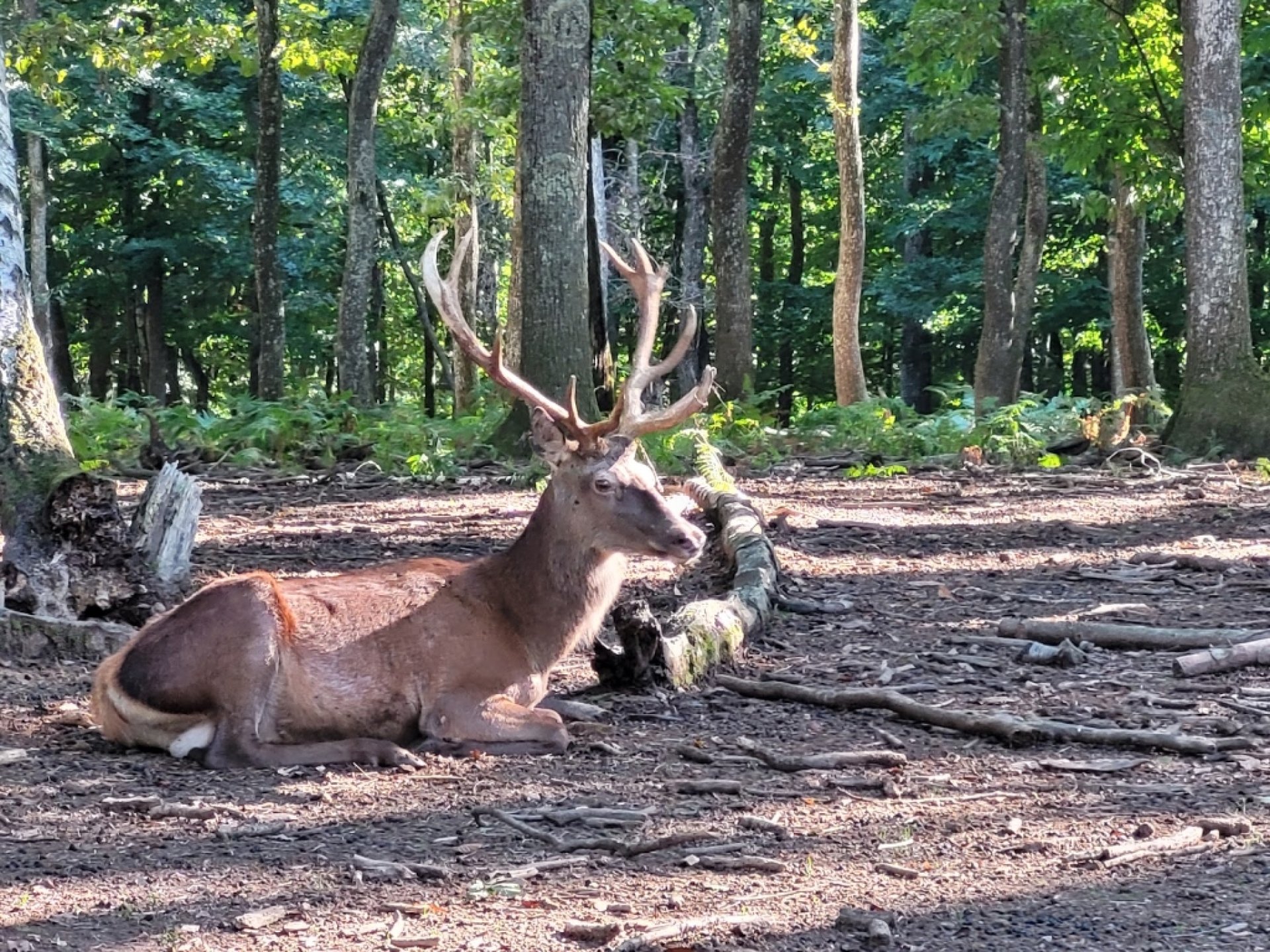 Chambaran Natural Park, Saint-Pierre-de-Bressieux: Information, Tickets ...