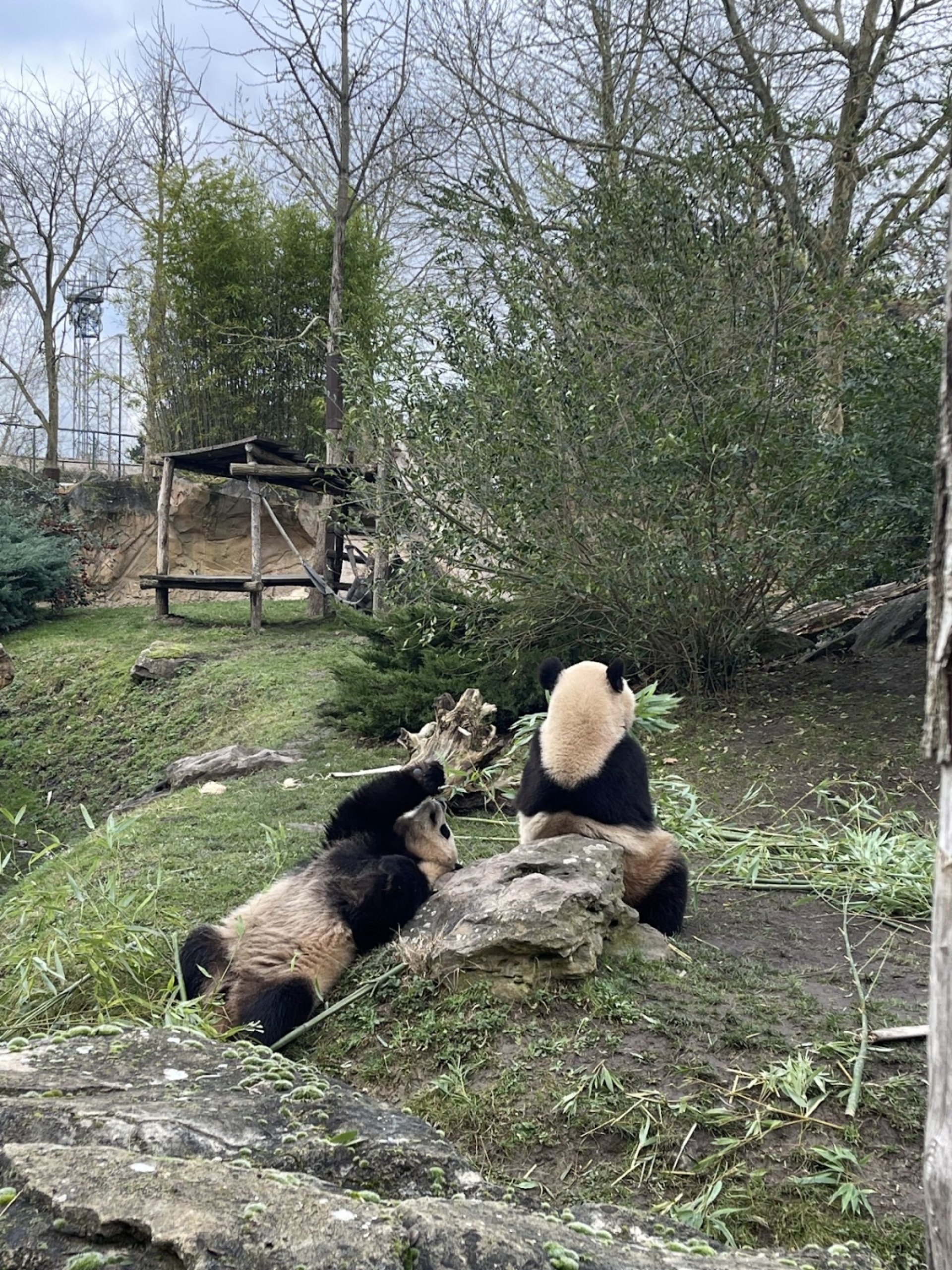 On China Heights, Saint-Aignan: Information, Tickets and Reviews