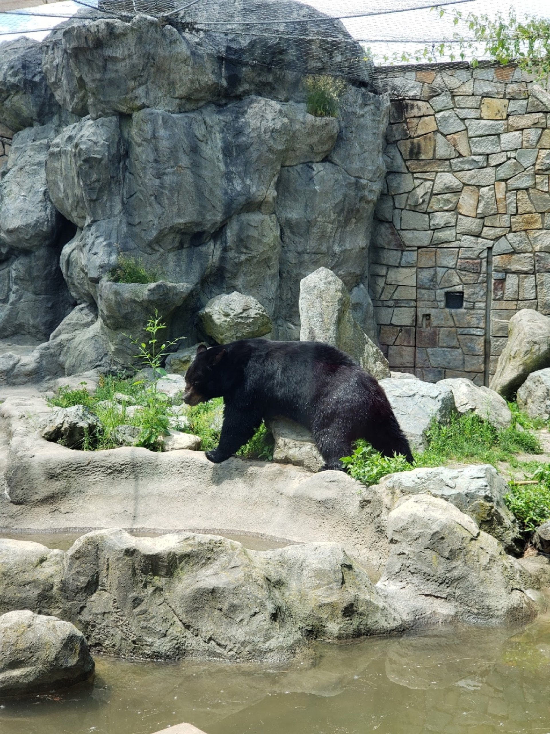 Stone Zoo, Stoneham, MA: Information, Tickets and Reviews