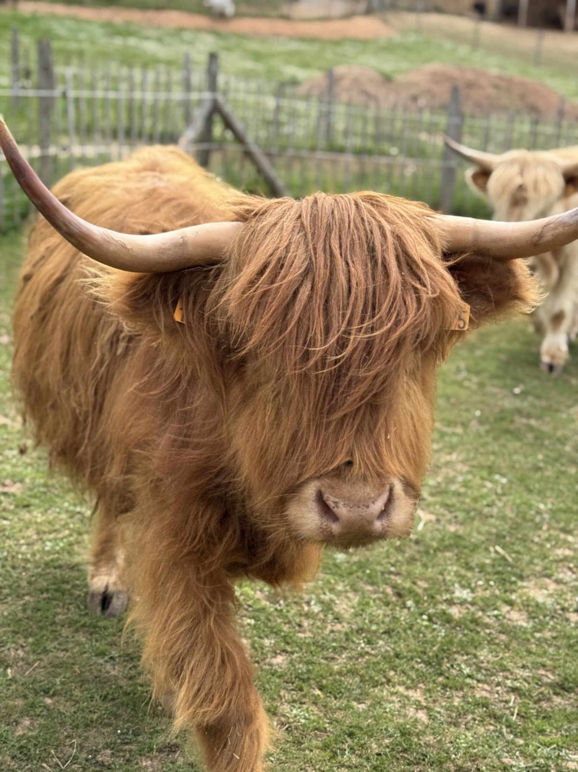 ANIMUNDO, Villefranche-d'Albigeois: Information, Tickets and Reviews