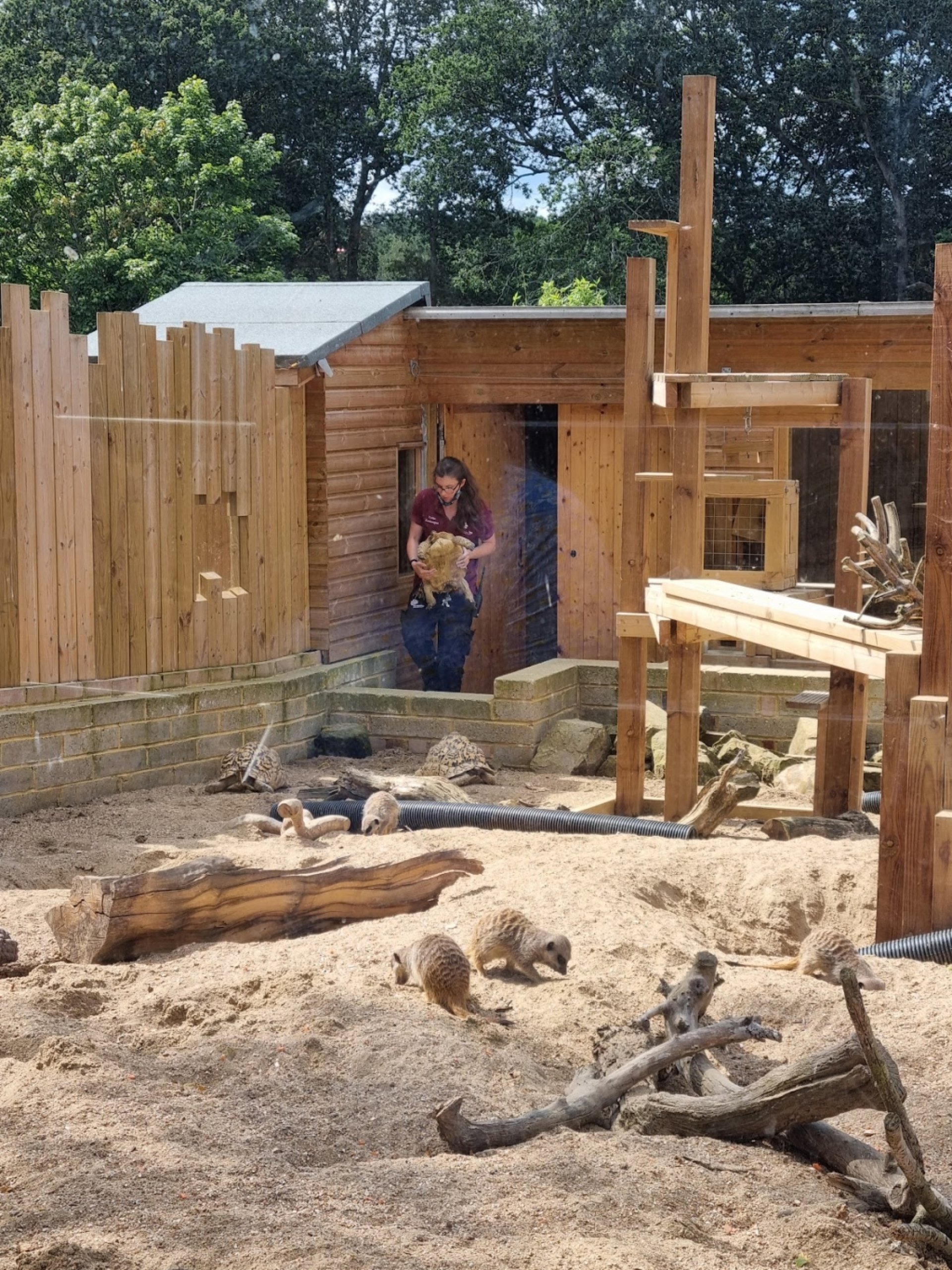 Tilgate Zoo, Crawley: Information, Tickets and Reviews