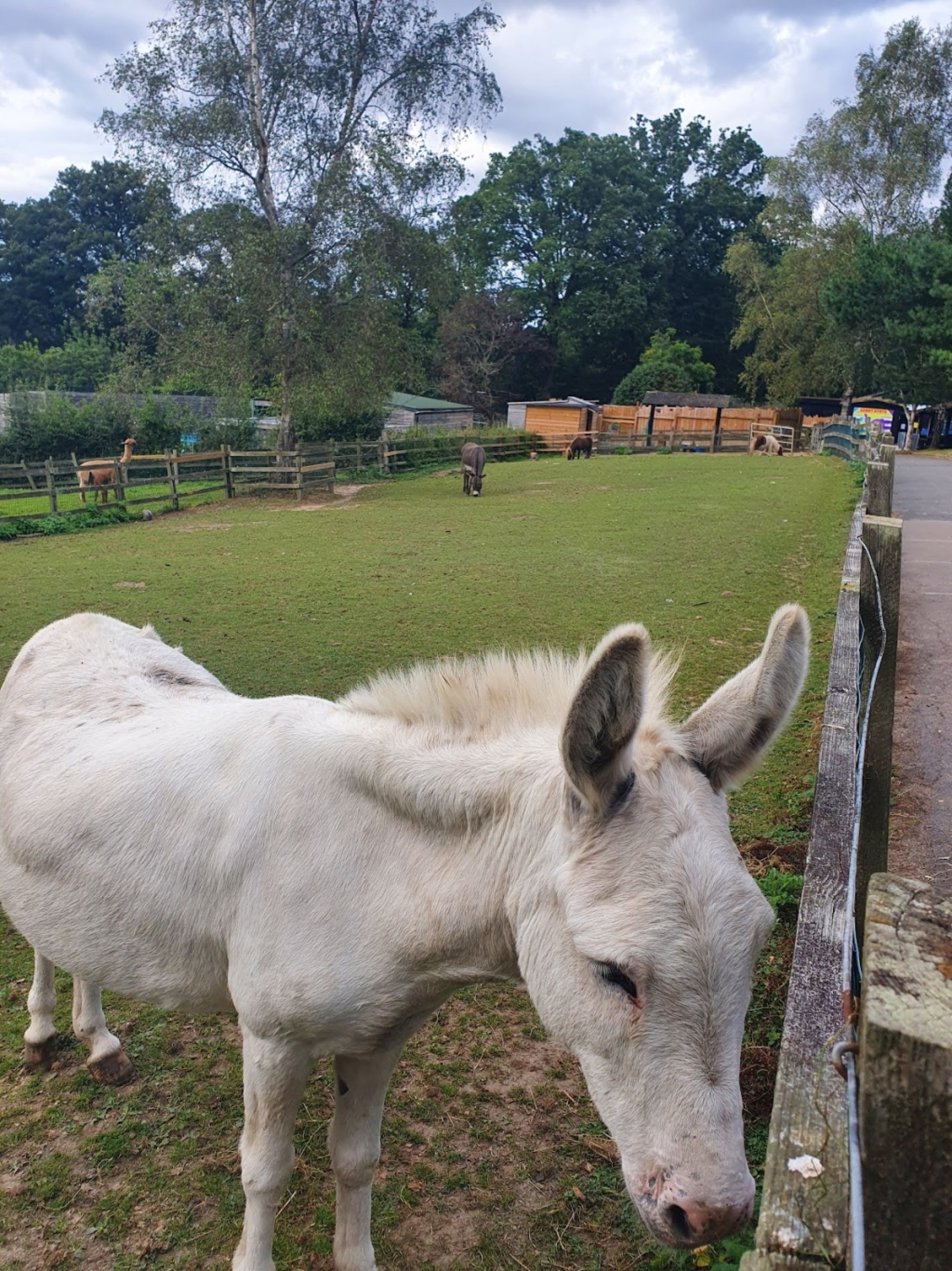 Tilgate Zoo, Crawley: Information, Tickets and Reviews